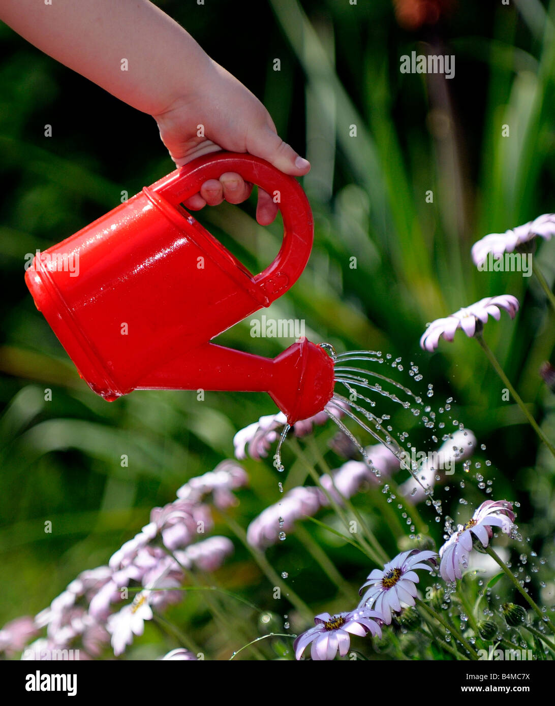 Watering Can With Water Coming Out