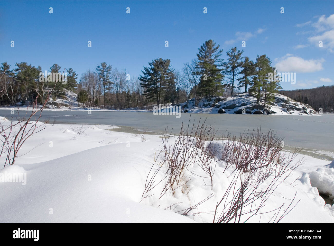 Escanaba river state forest hi-res stock photography and images - Alamy