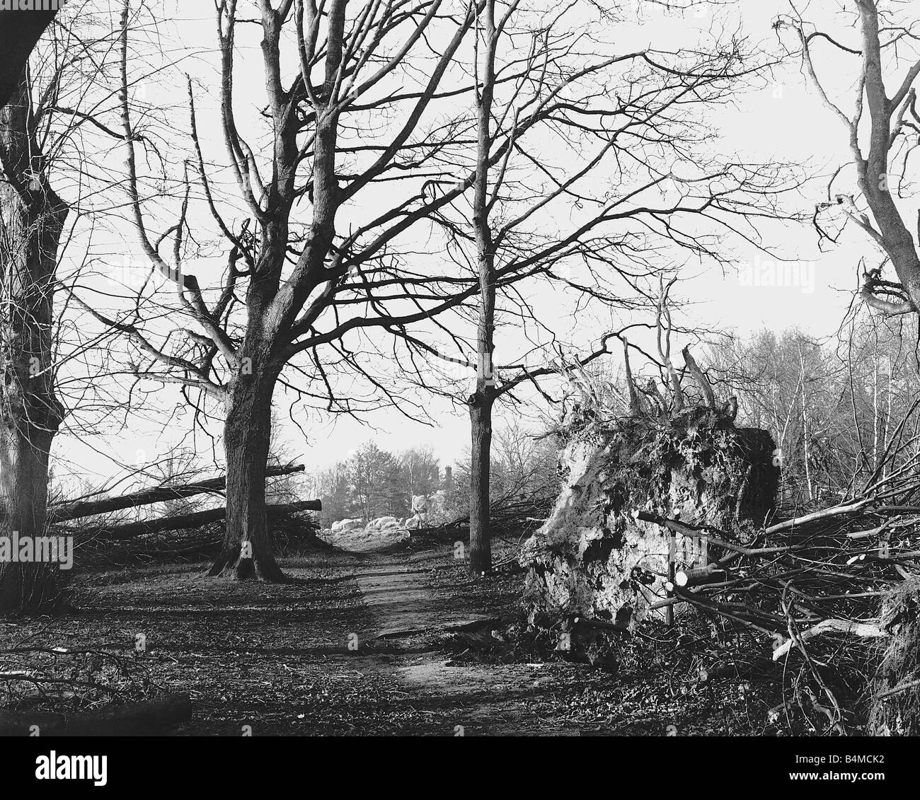 Hurricane hits southern England causing damage to trees on Tunbridge ...