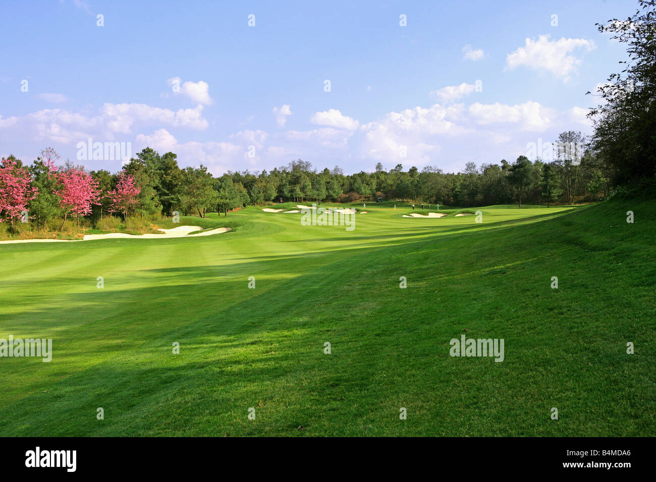 Golf Course View Stock Photo - Alamy