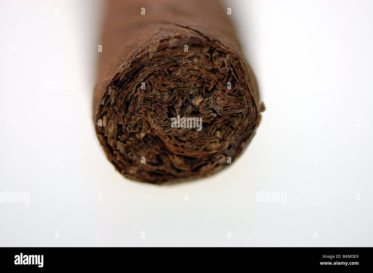 Cigar End High Resolution Stock Photography and Images - Alamy
