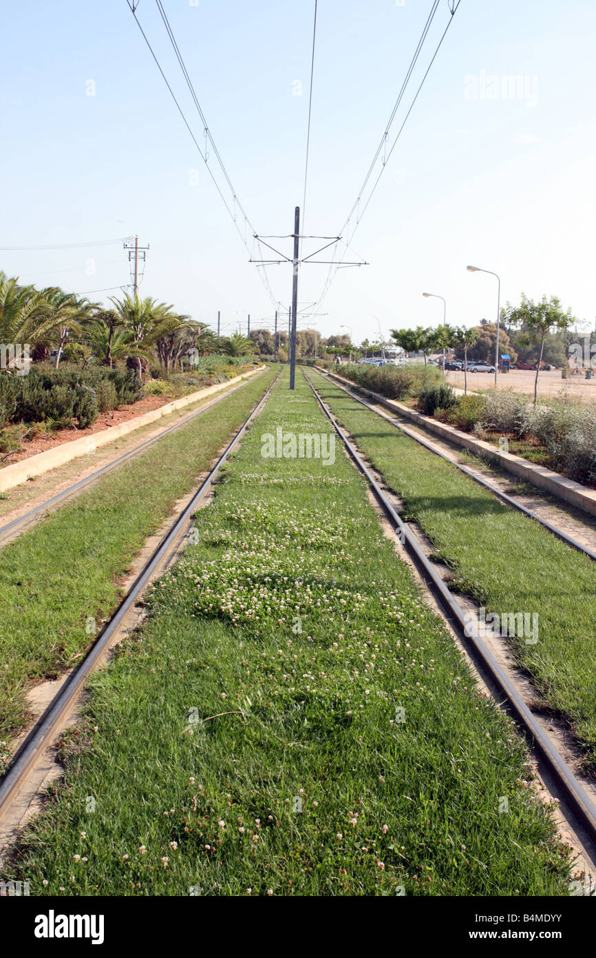 nature and transportation electric railway with grass and plants ...