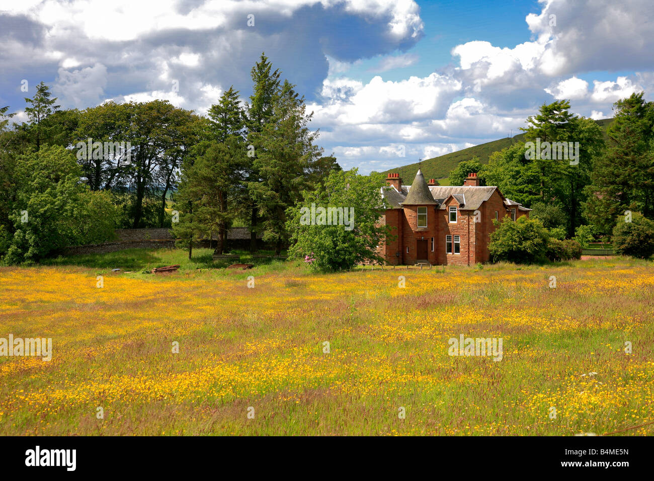 Farm with Flower Meadow Thankerton Upper Tweeddale Scotland Britain UK ...