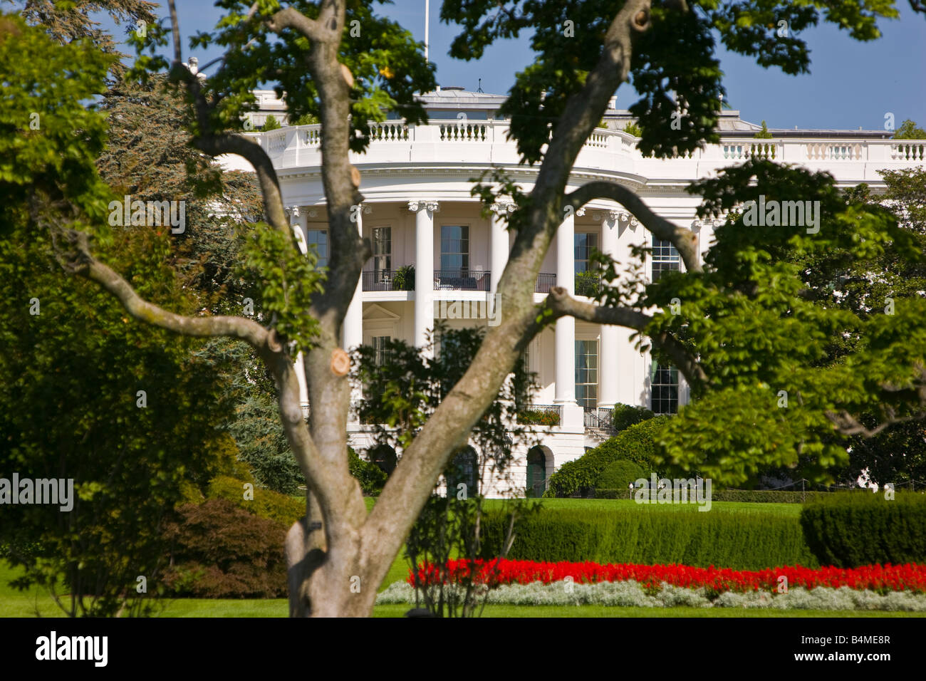 Trees house hi-res stock photography and images - Alamy