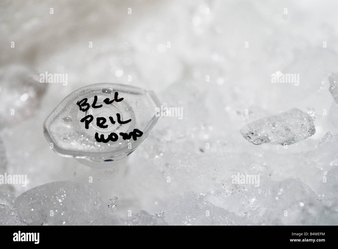 Eppendorf - type test plastic tube with sample on ice Stock Photo - Alamy
