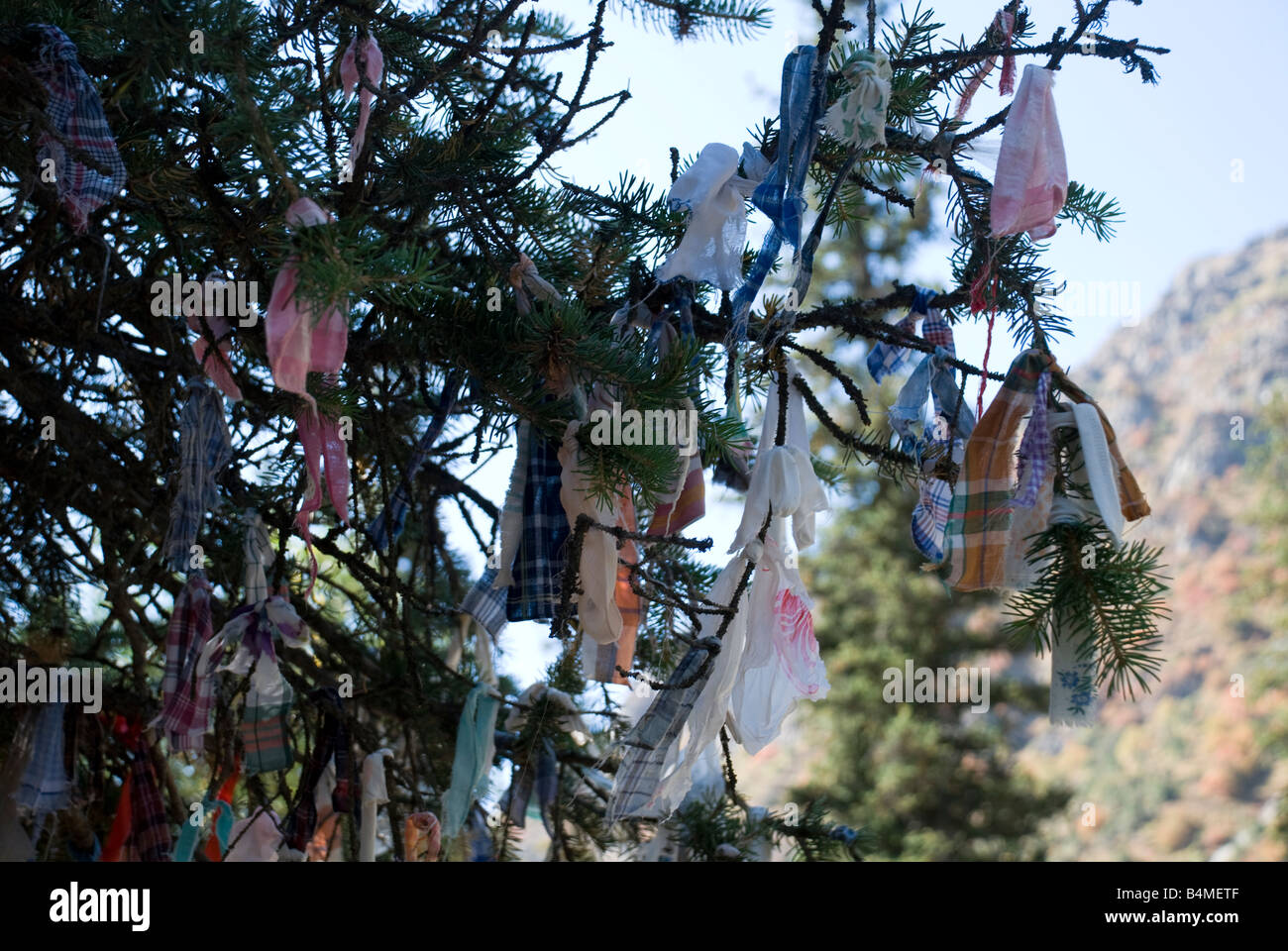 Wishes tree hi-res stock photography and images - Alamy