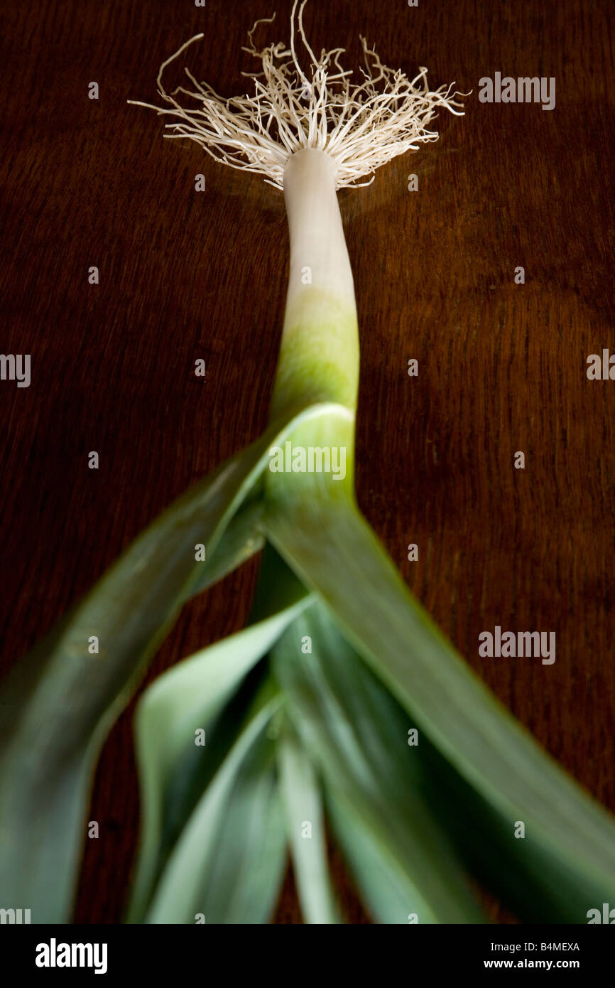 Leeks with roots hi-res stock photography and images - Alamy