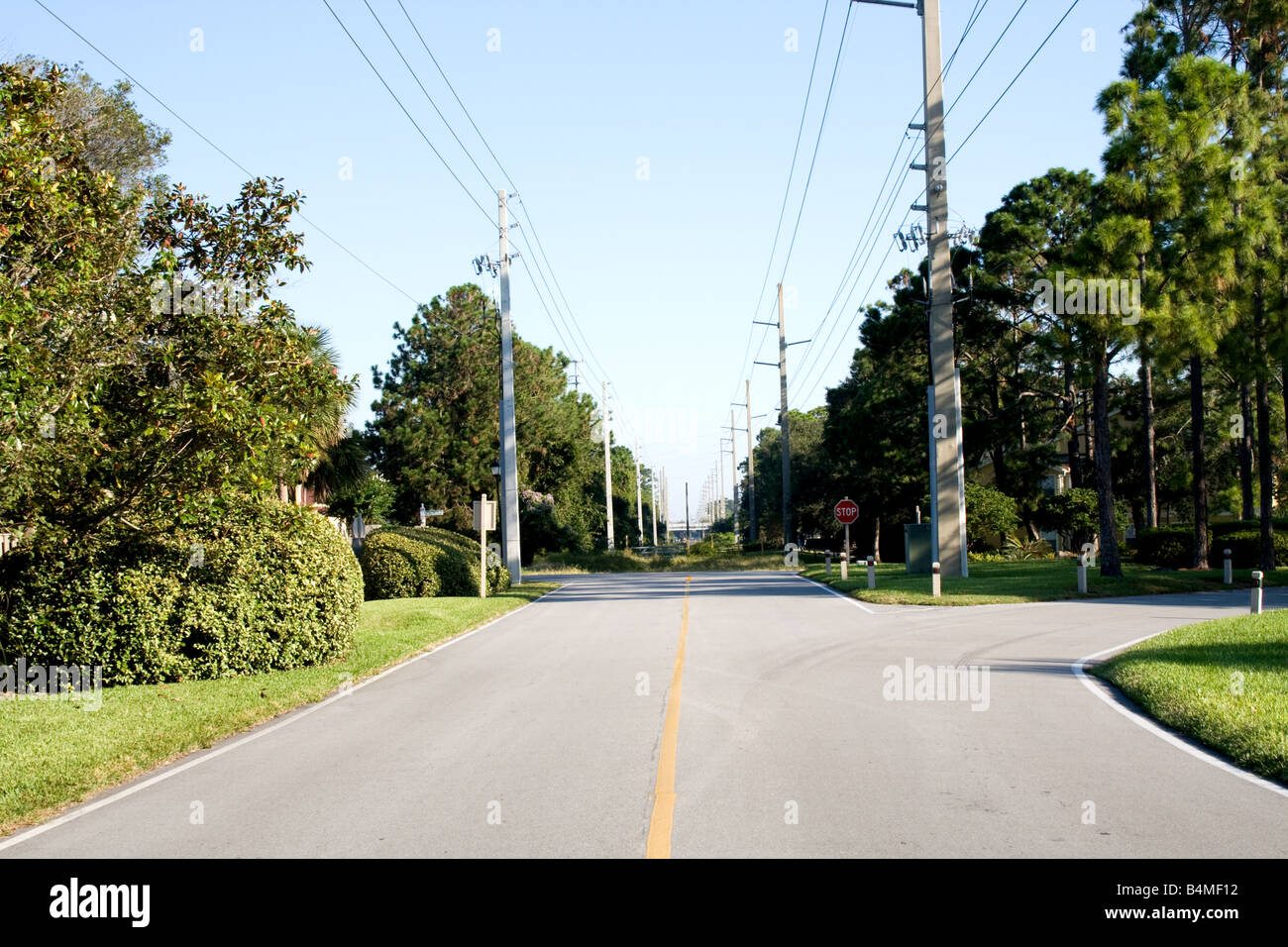 Power lines on both sides of a roadway surrounded by trees Stock Photo ...