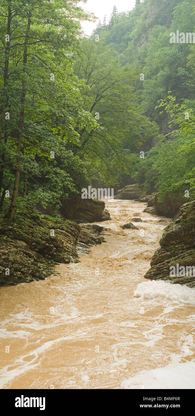 Mountain river during heavy rains Stock Photo - Alamy