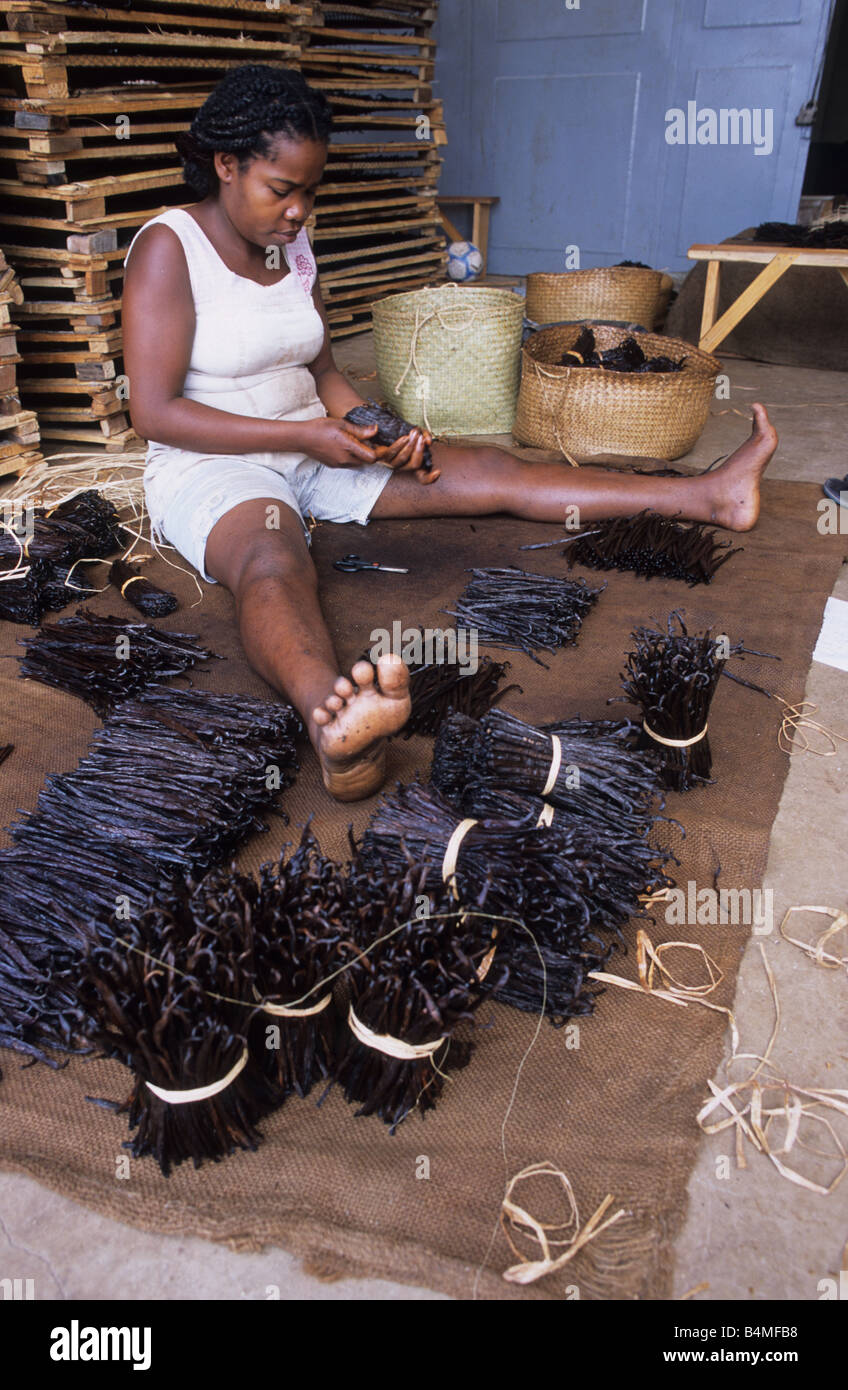 Vanilla factory hi-res stock photography and images - Alamy