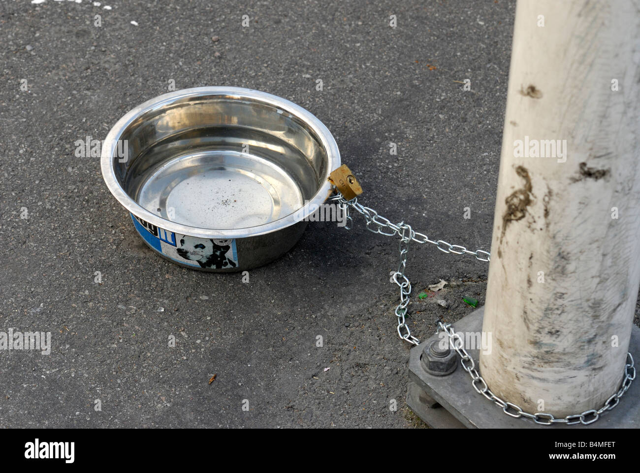 Metalic dog s dish Stock Photo - Alamy