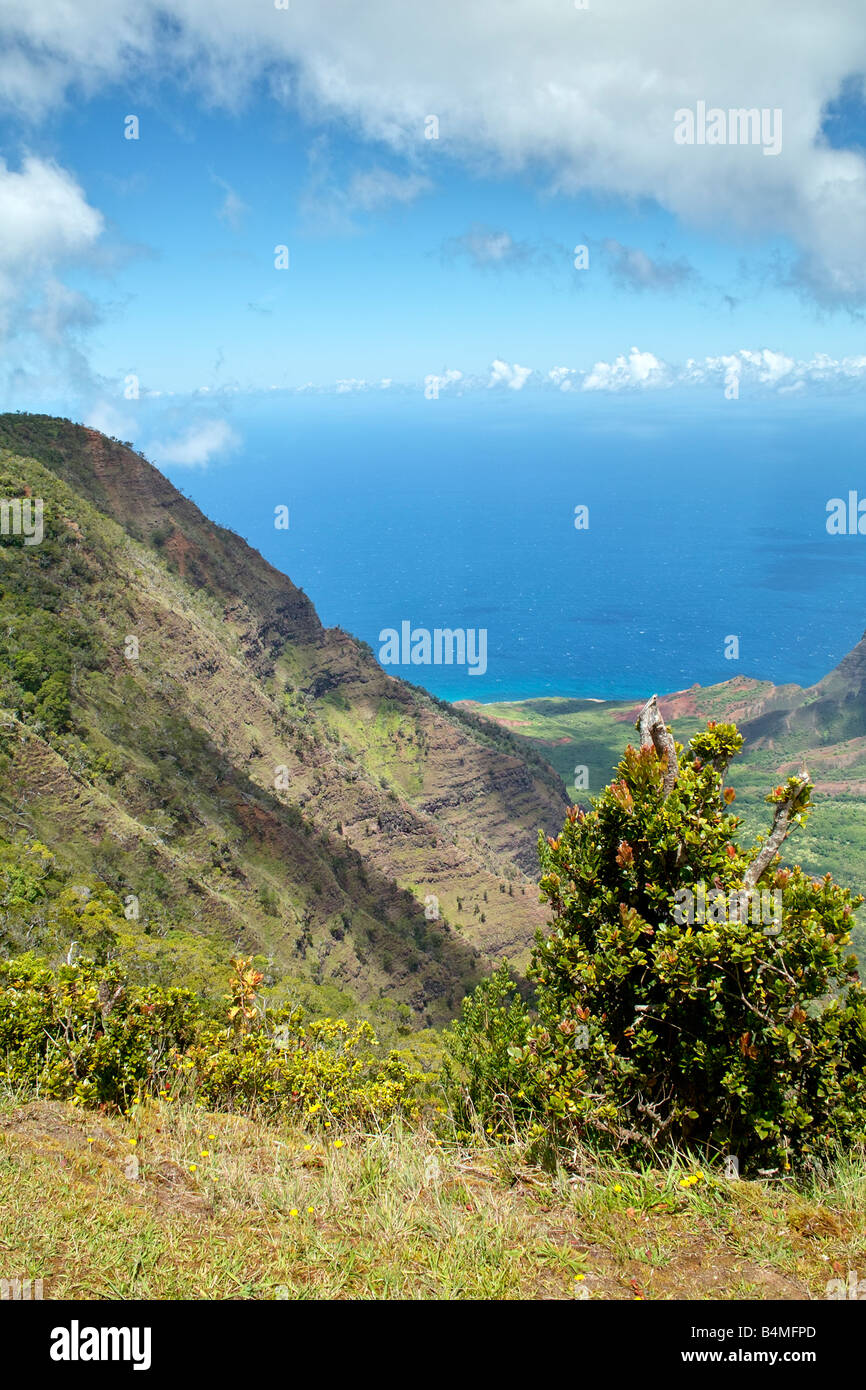 Pu‘u o kila hi-res stock photography and images - Alamy