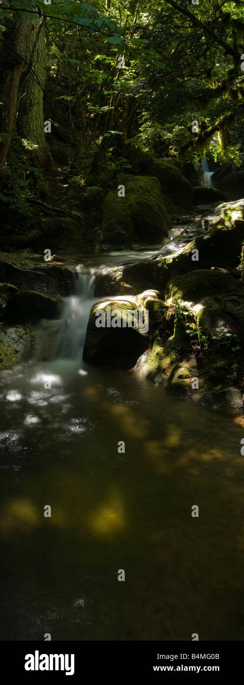 Water basin hi-res stock photography and images - Alamy