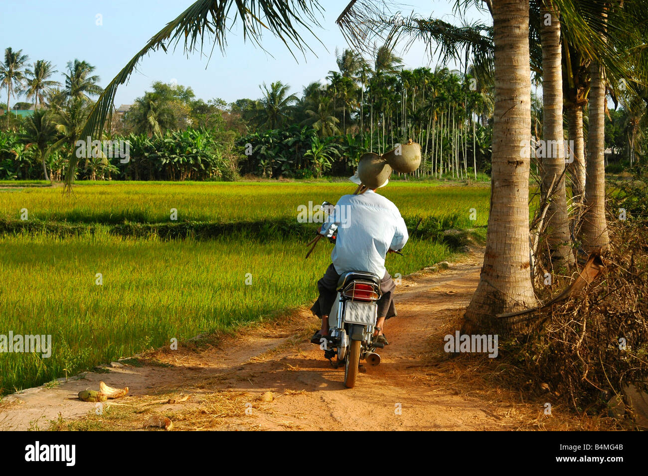 Motor biker rice plots dirt road hi-res stock photography and images ...