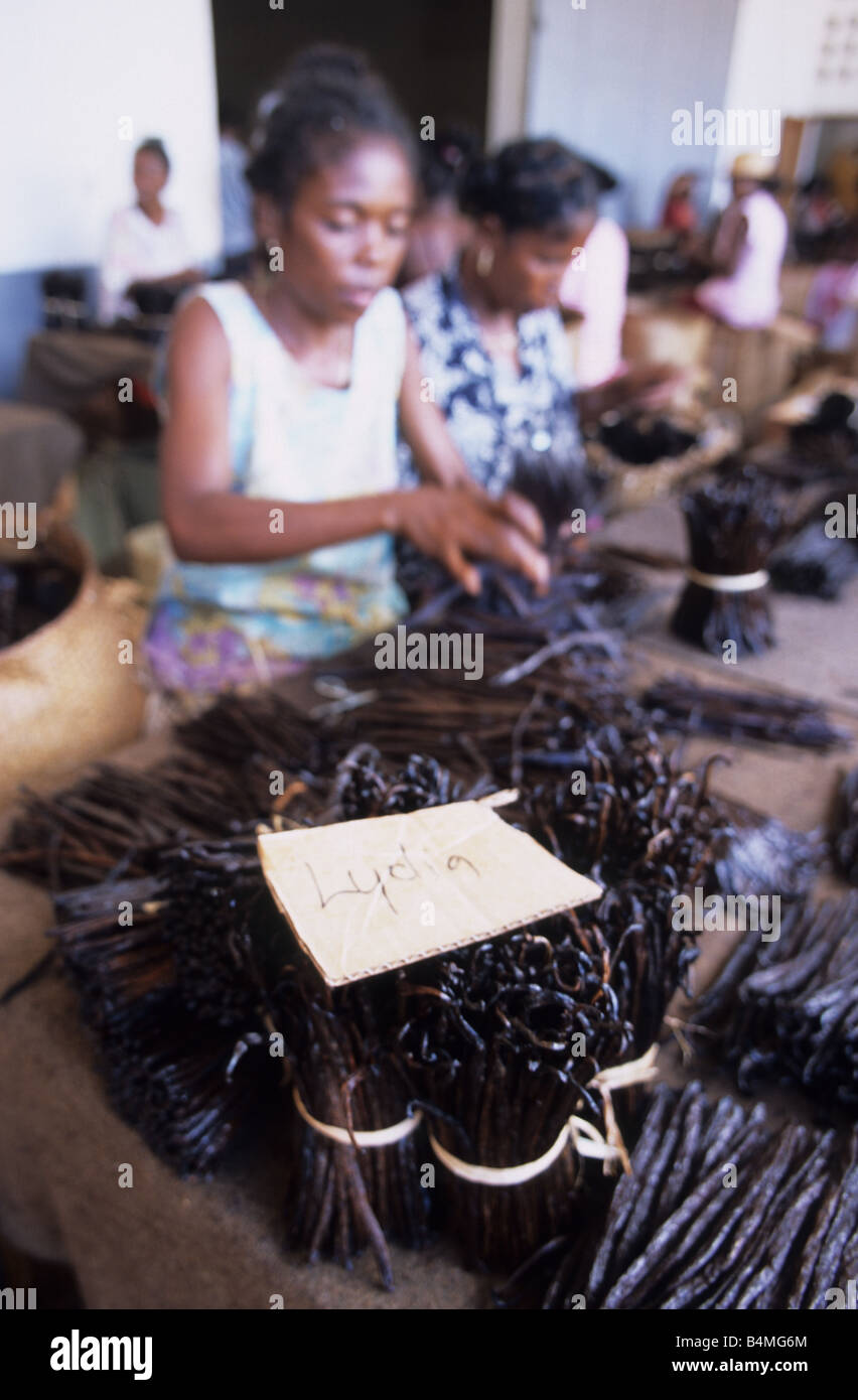 Vanilla factory hi-res stock photography and images - Alamy