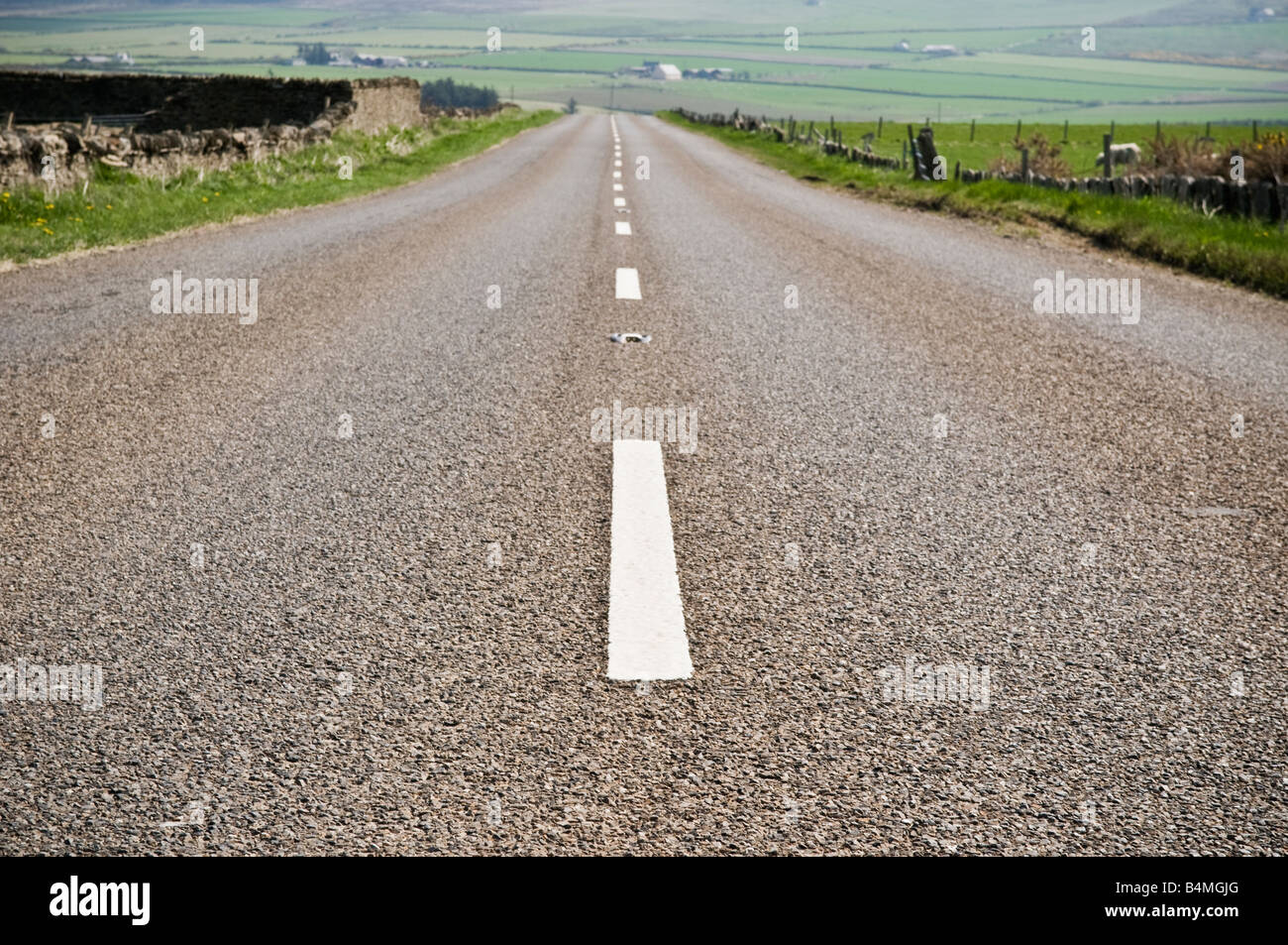 Highway A836 in passes through the green pasture lands of north east ...