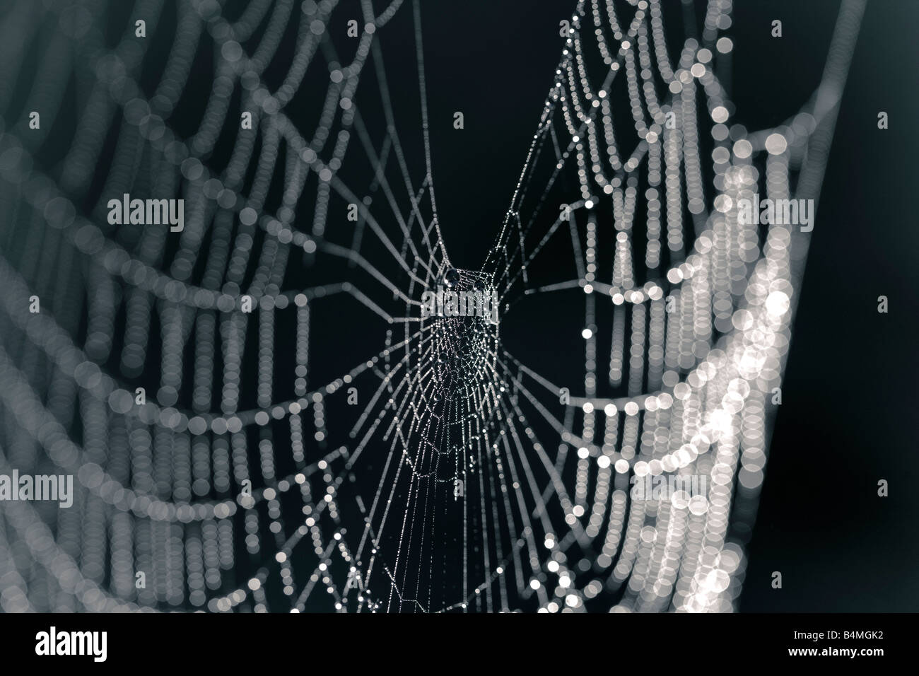 Cobweb empty hi-res stock photography and images - Alamy