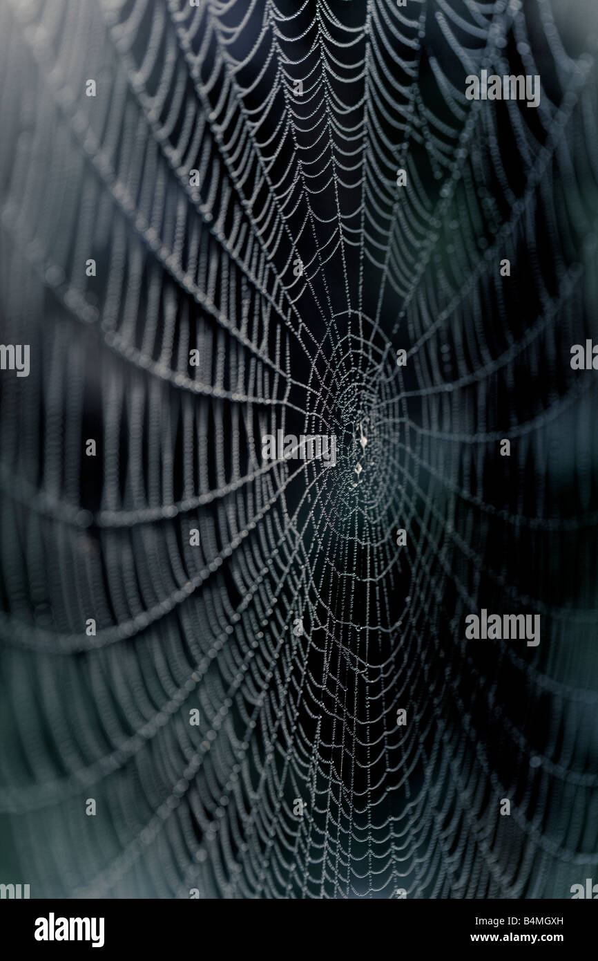 Cobweb empty hi-res stock photography and images - Alamy
