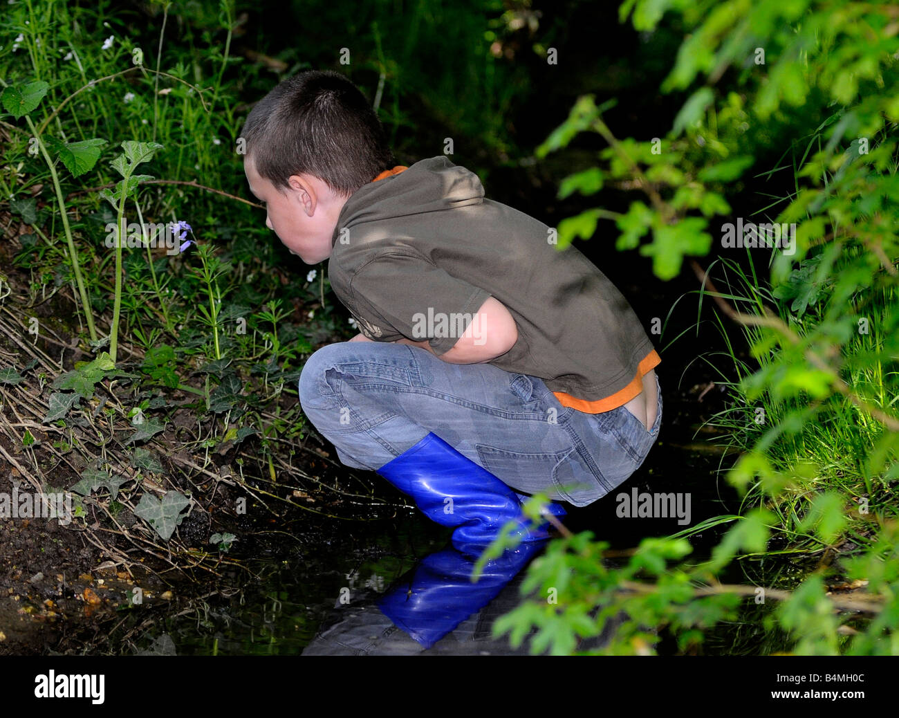 Belhus country park, Essex, UK Stock Photo - Alamy