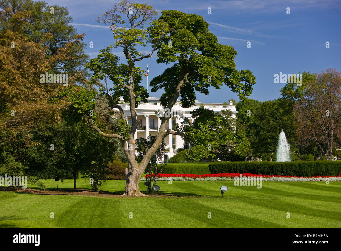WASHINGTON DC USA - The White House, trees on south lawn Stock Photo ...