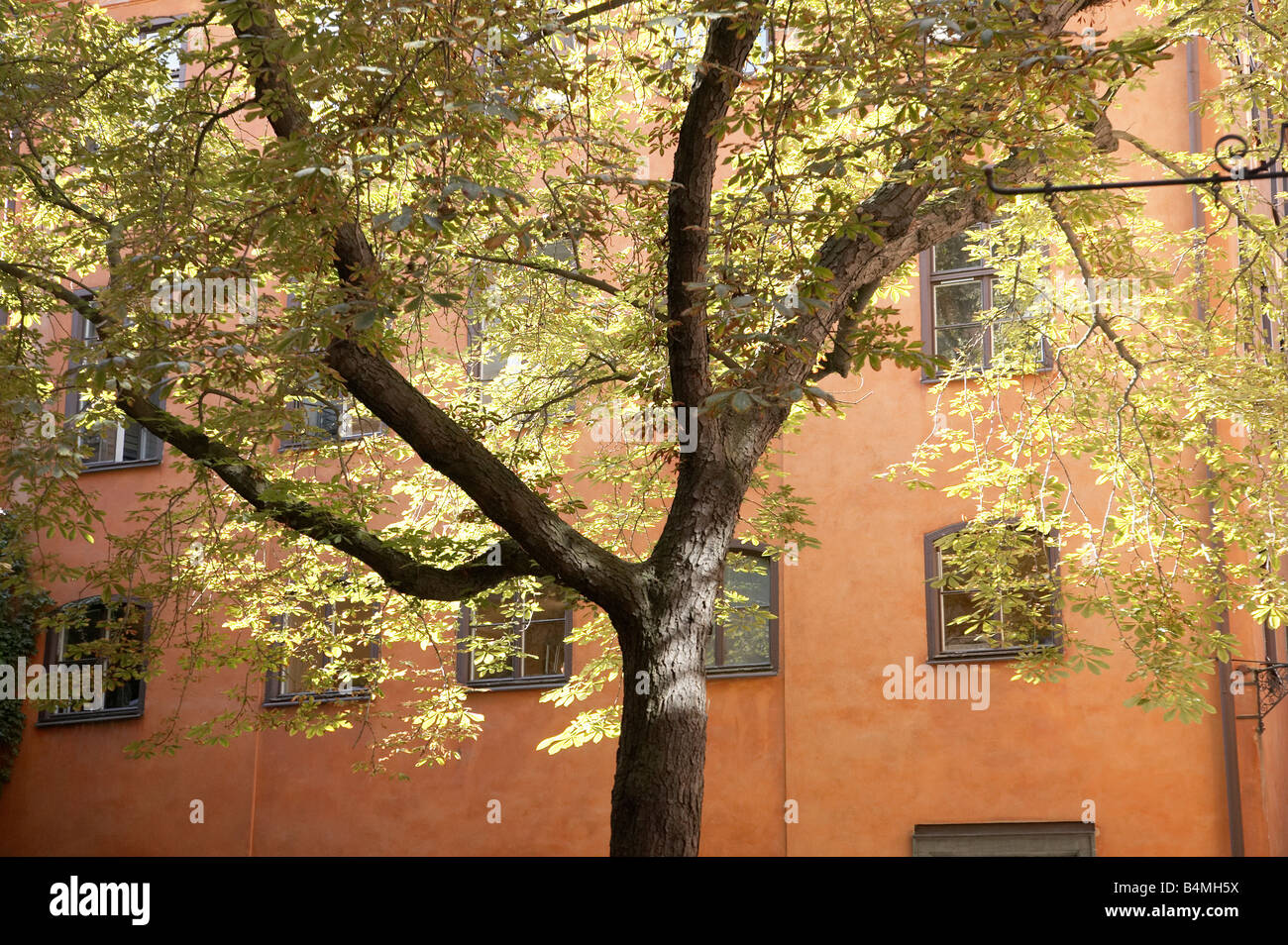 Branda stockholm hi-res stock photography and images - Alamy