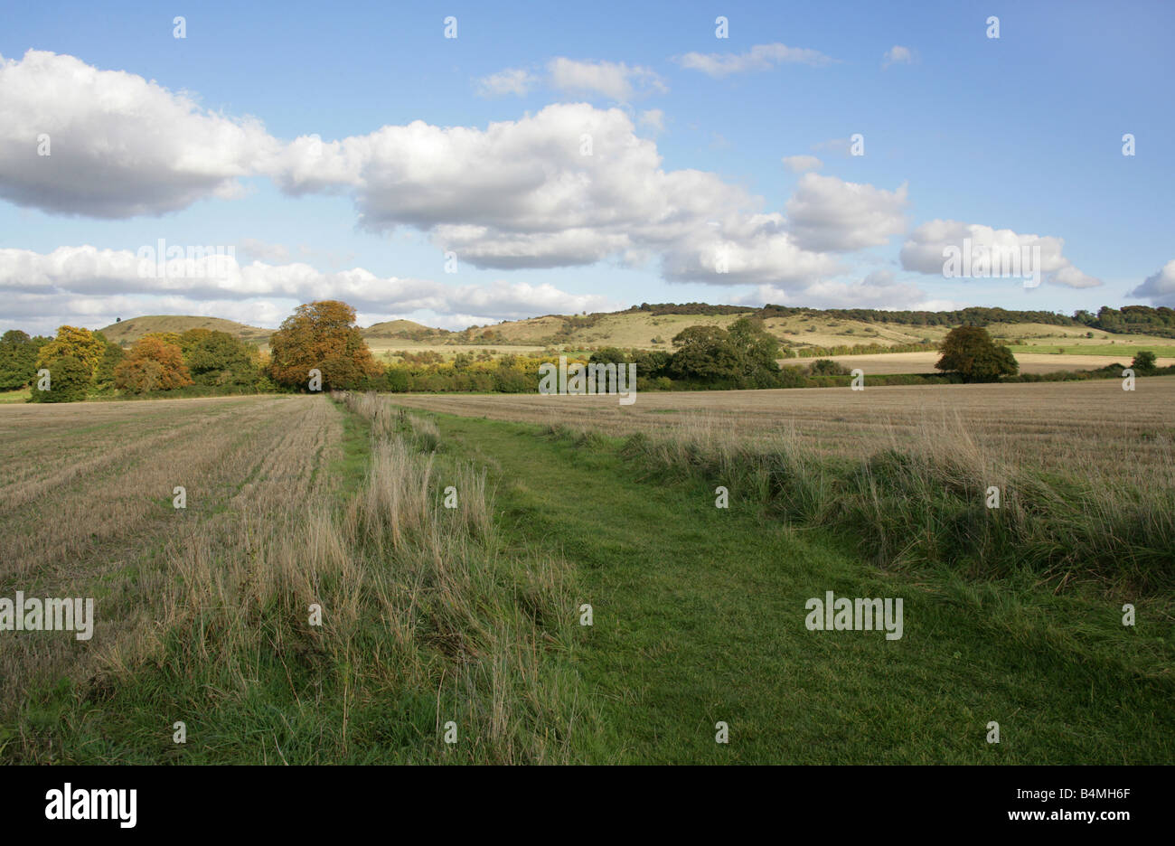 Ivinghoe Beacon and the Chiltern Hills from Pitstone, Buckinghamshire ...
