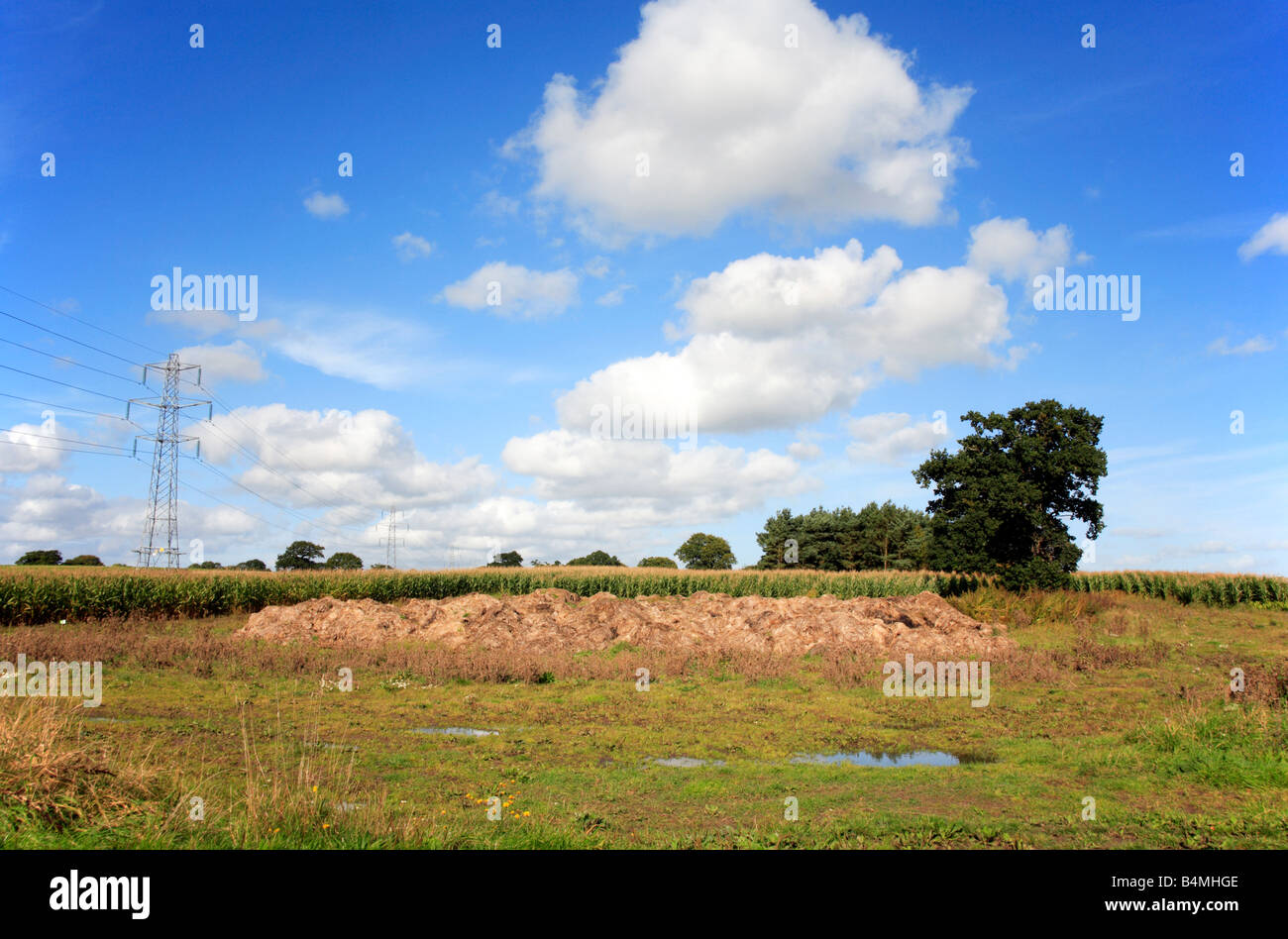 Manure heap hi-res stock photography and images - Alamy