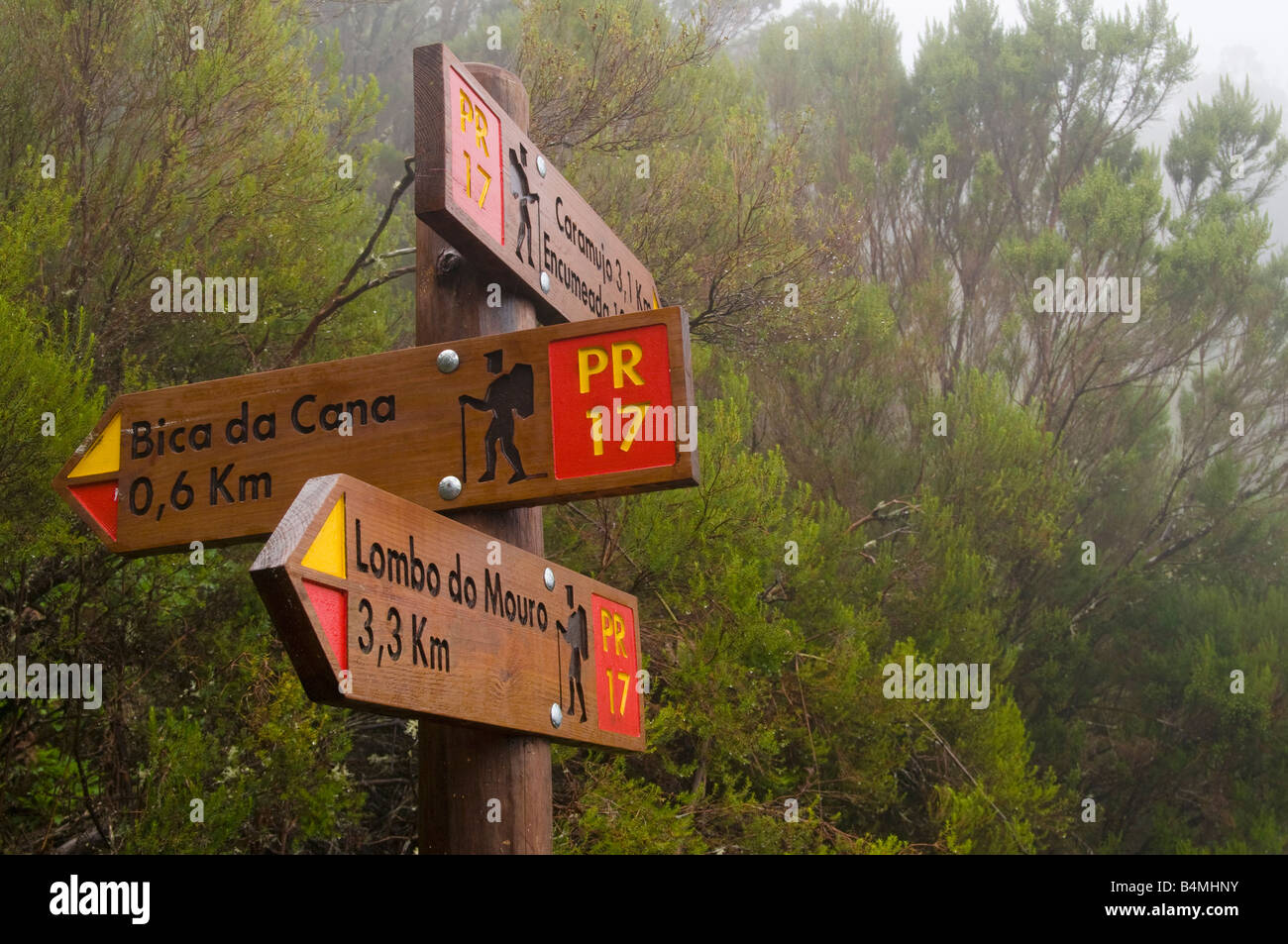 Travel guide madeira hi-res stock photography and images - Alamy