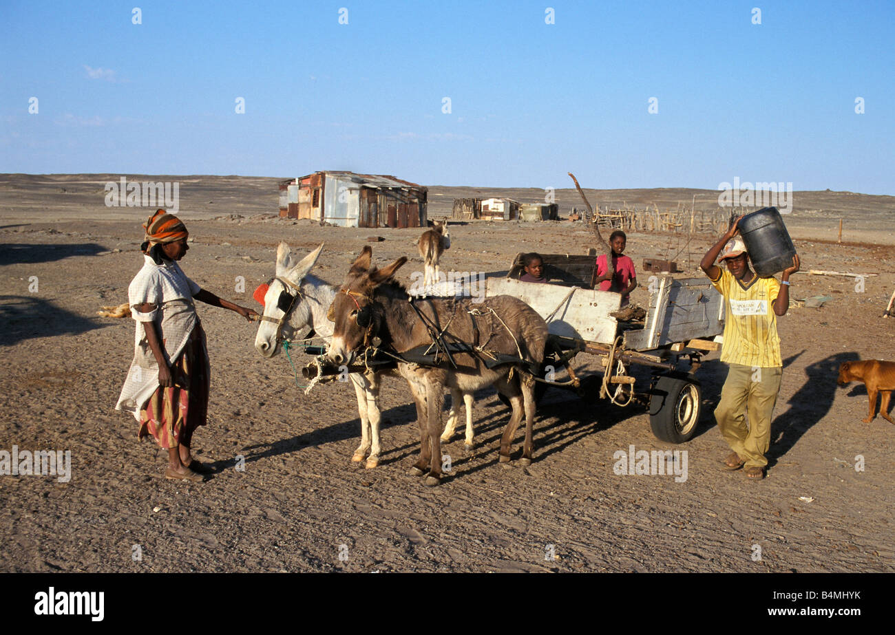 Namibia near Swakopmund People of Topnaar tribe. Transport by donkey ...