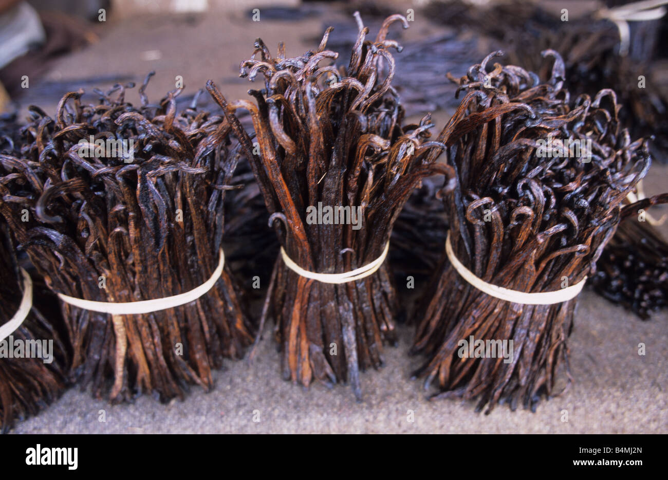 Vanilla factory hi-res stock photography and images - Alamy