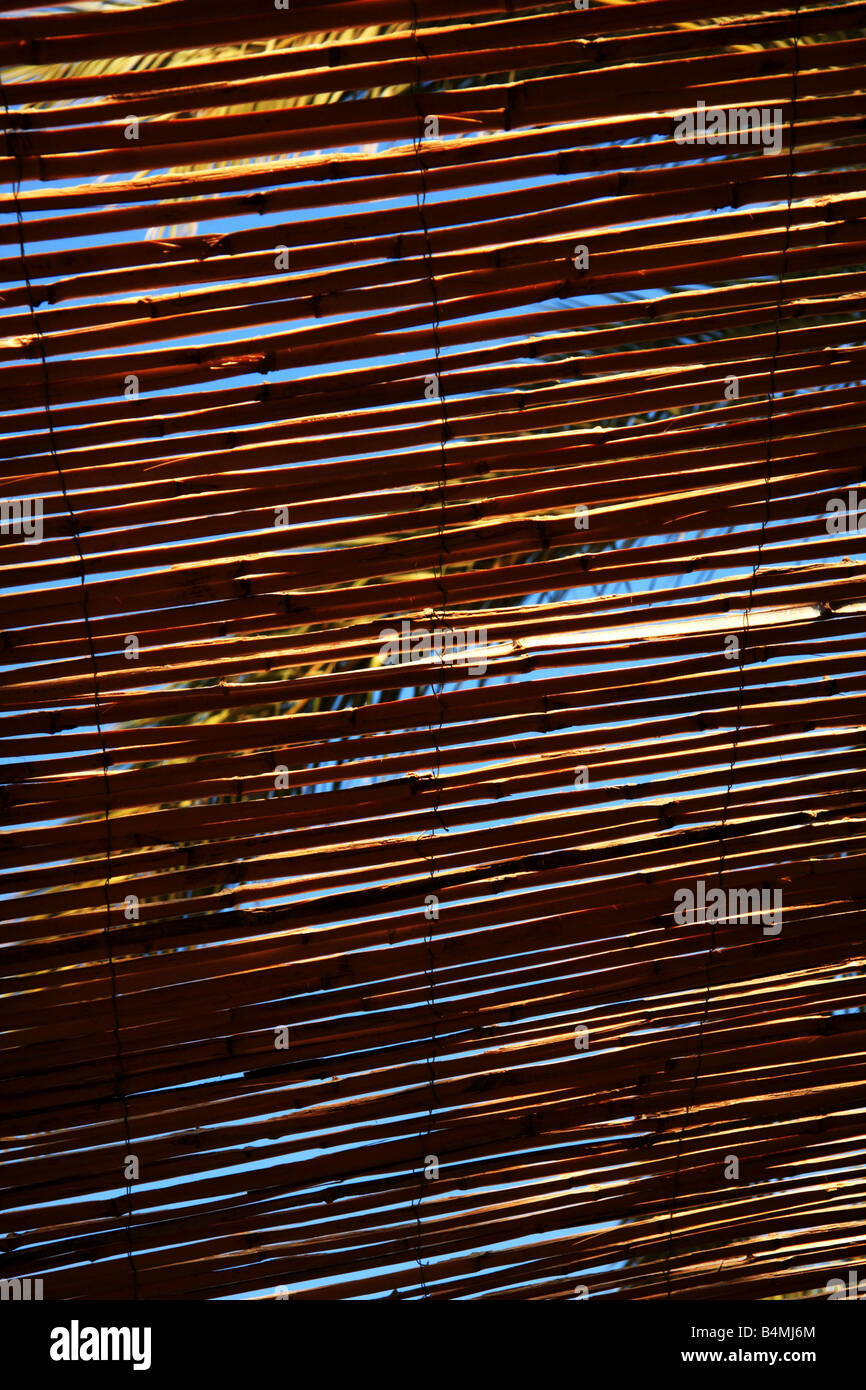 A bamboo sun shade with palm trees and blue sky beyond Stock Photo - Alamy