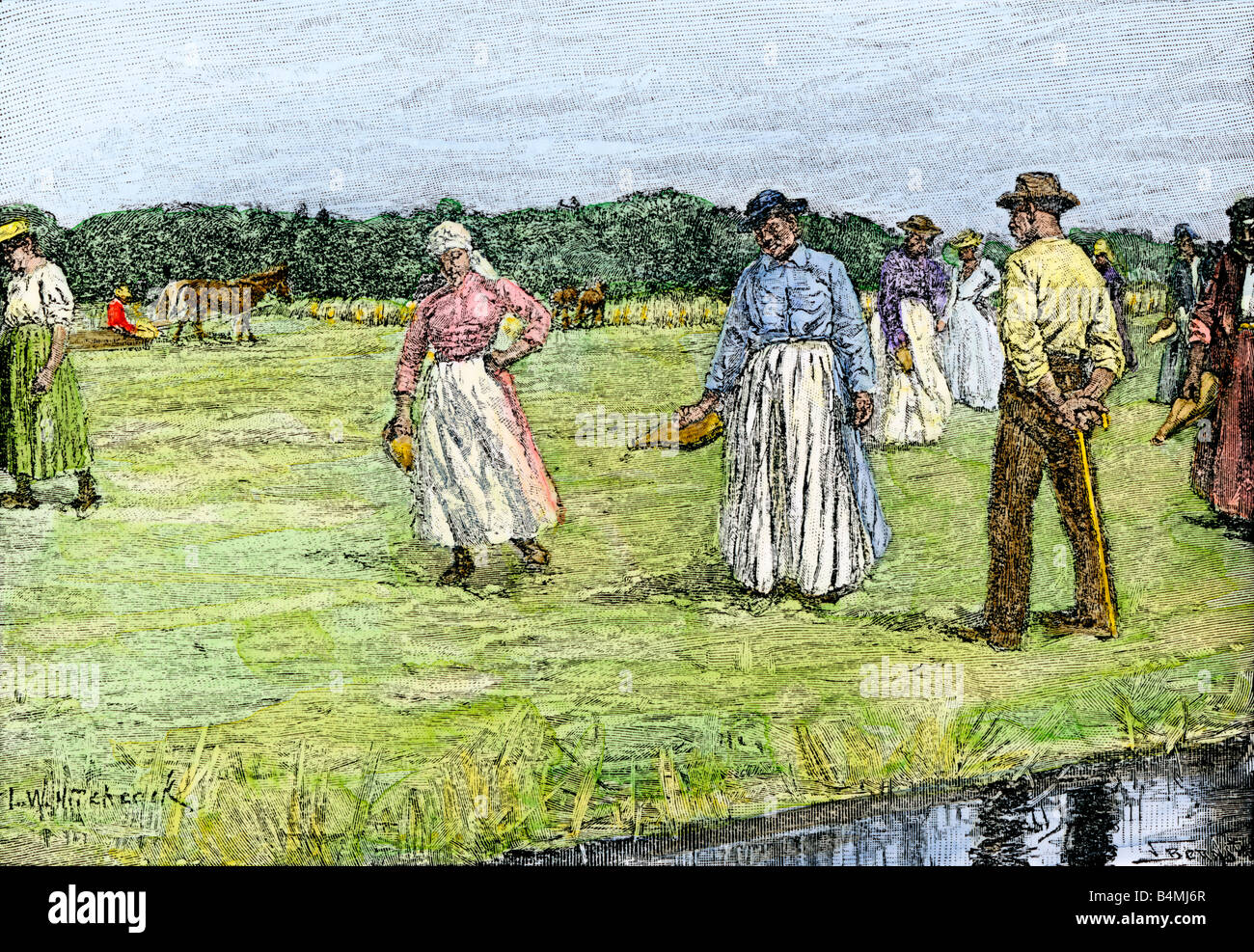 Colonial Rice Plantation