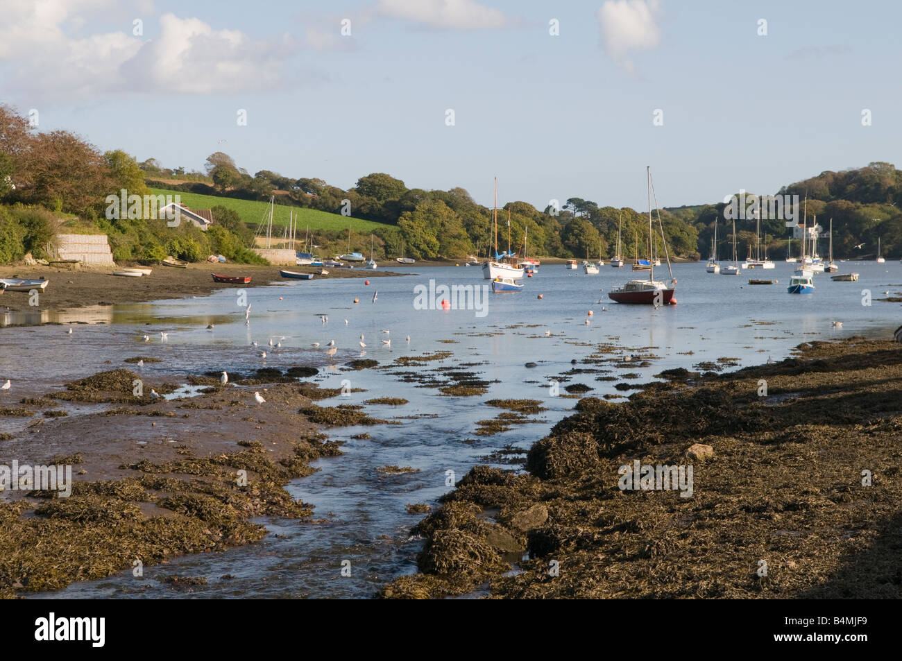 The River Fal at Mylor Bridge, Cornwall, UK Stock Photo - Alamy