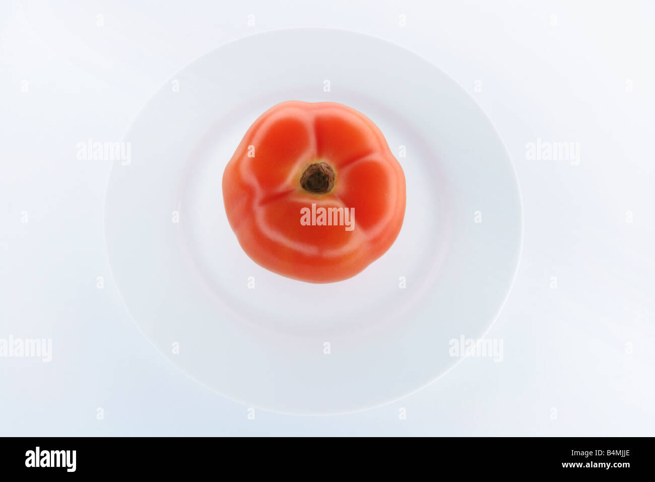 Tomato on Plate Stock Photo - Alamy
