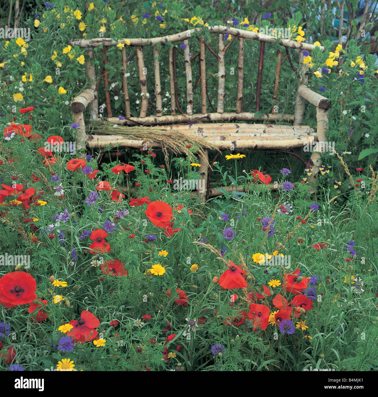 Wild Flowers with rustic seat Stock Photo - Alamy