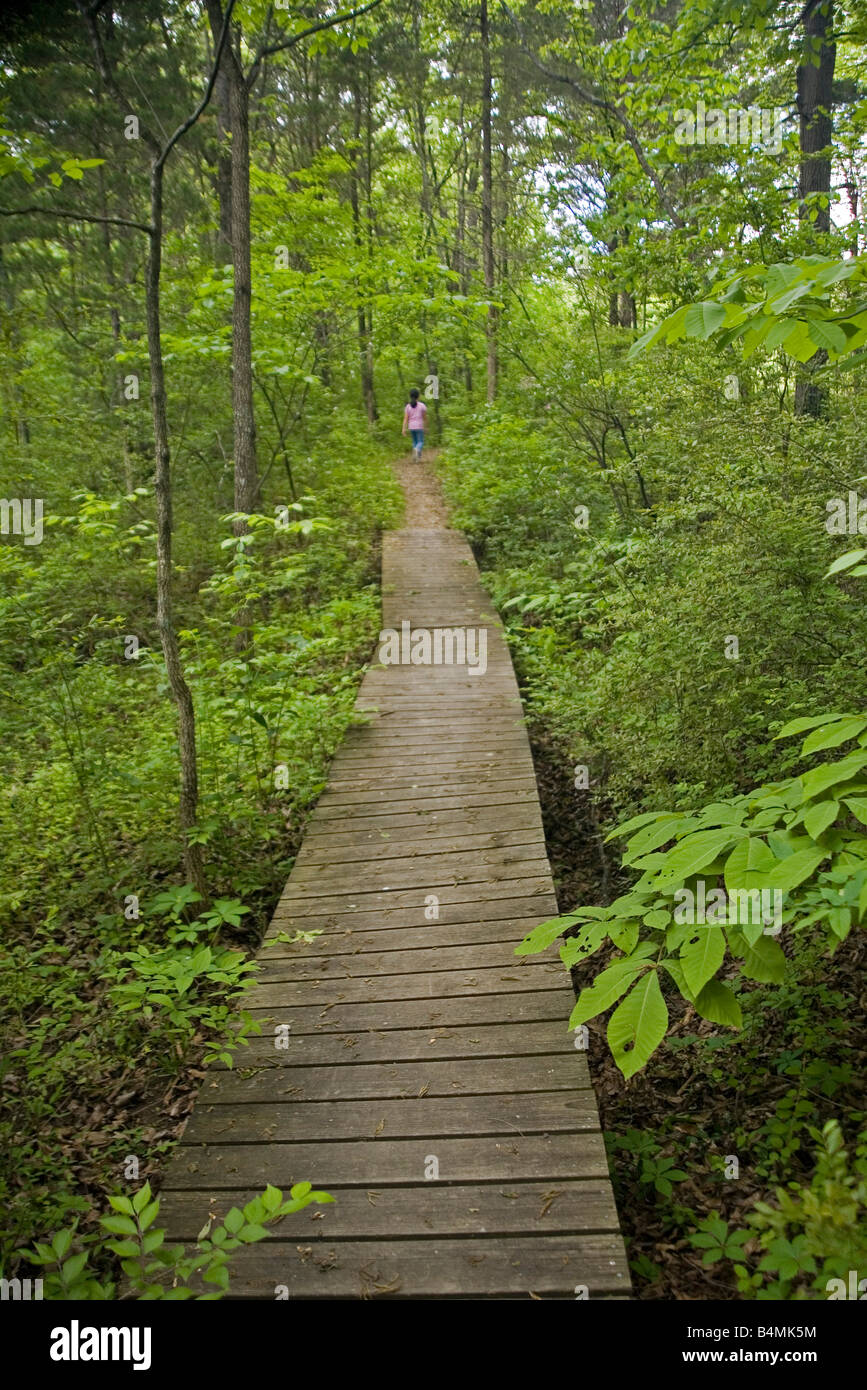 Shaw botanical gardens hi-res stock photography and images - Alamy