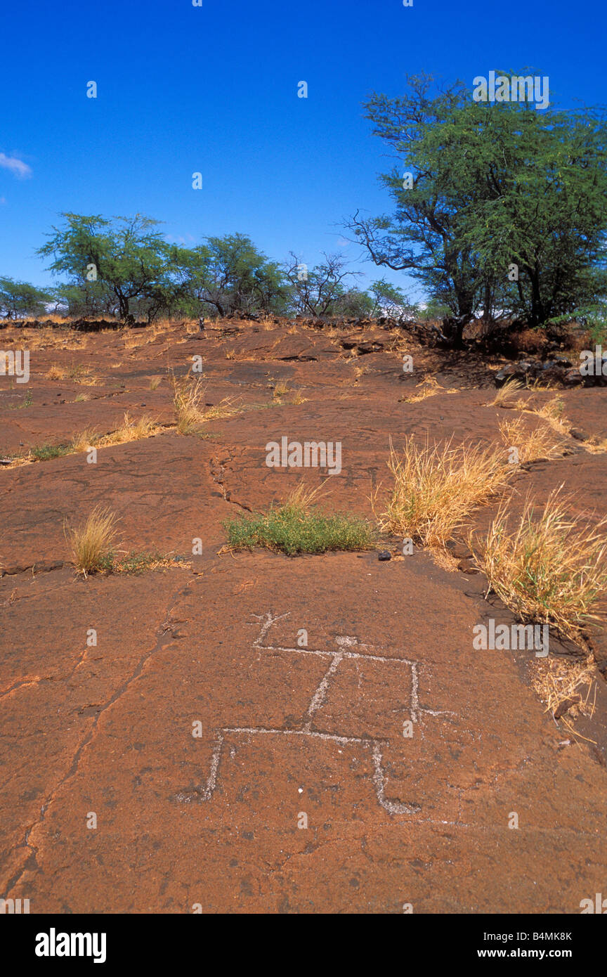 Hawaiian petroglyphs on ancient lava field at Puako The Big Island ...