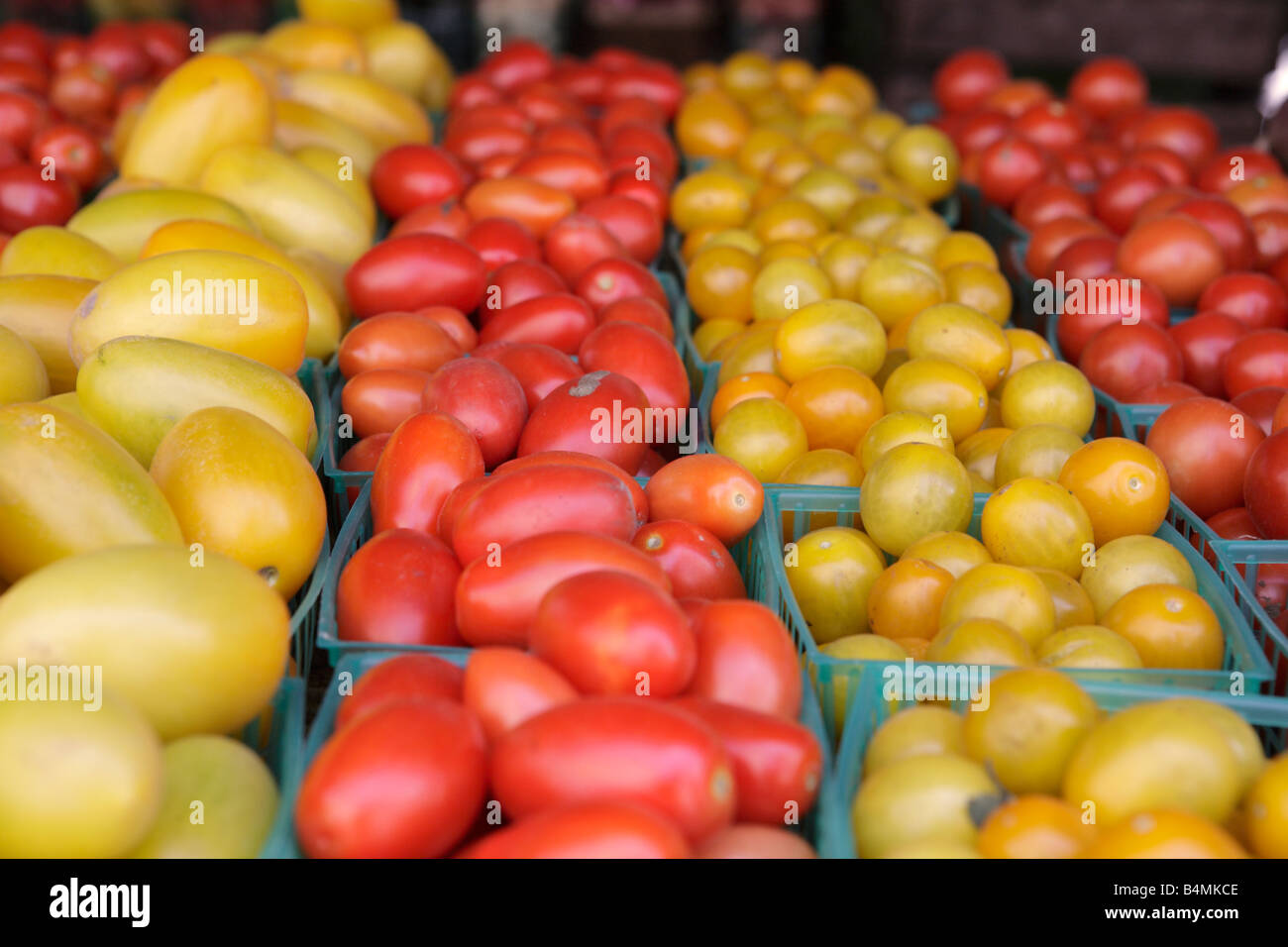 Bushel of tomatoes hi-res stock photography and images - Alamy