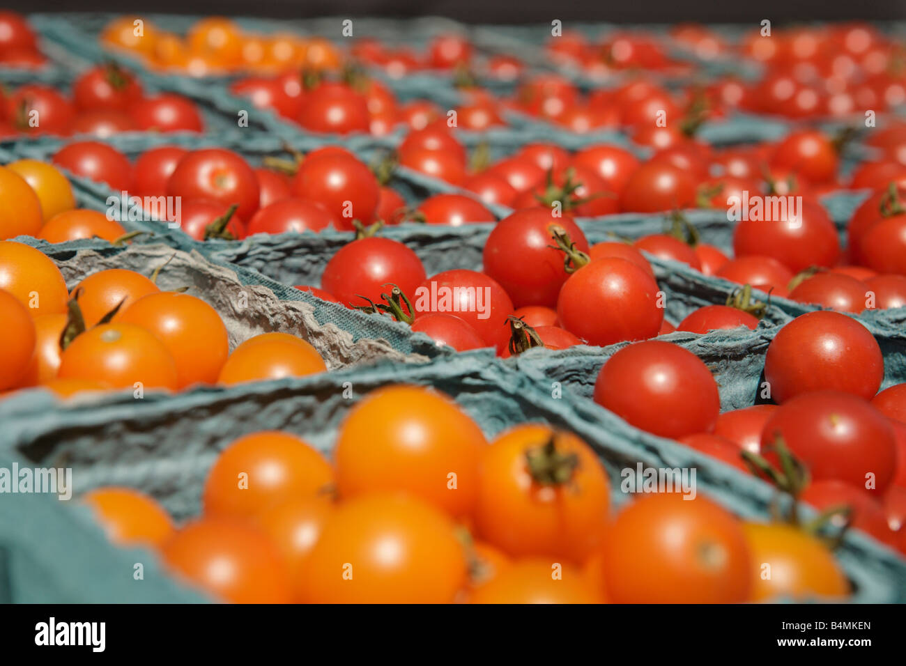 Bushel Of Tomatoes High Resolution Stock Photography and Images - Alamy