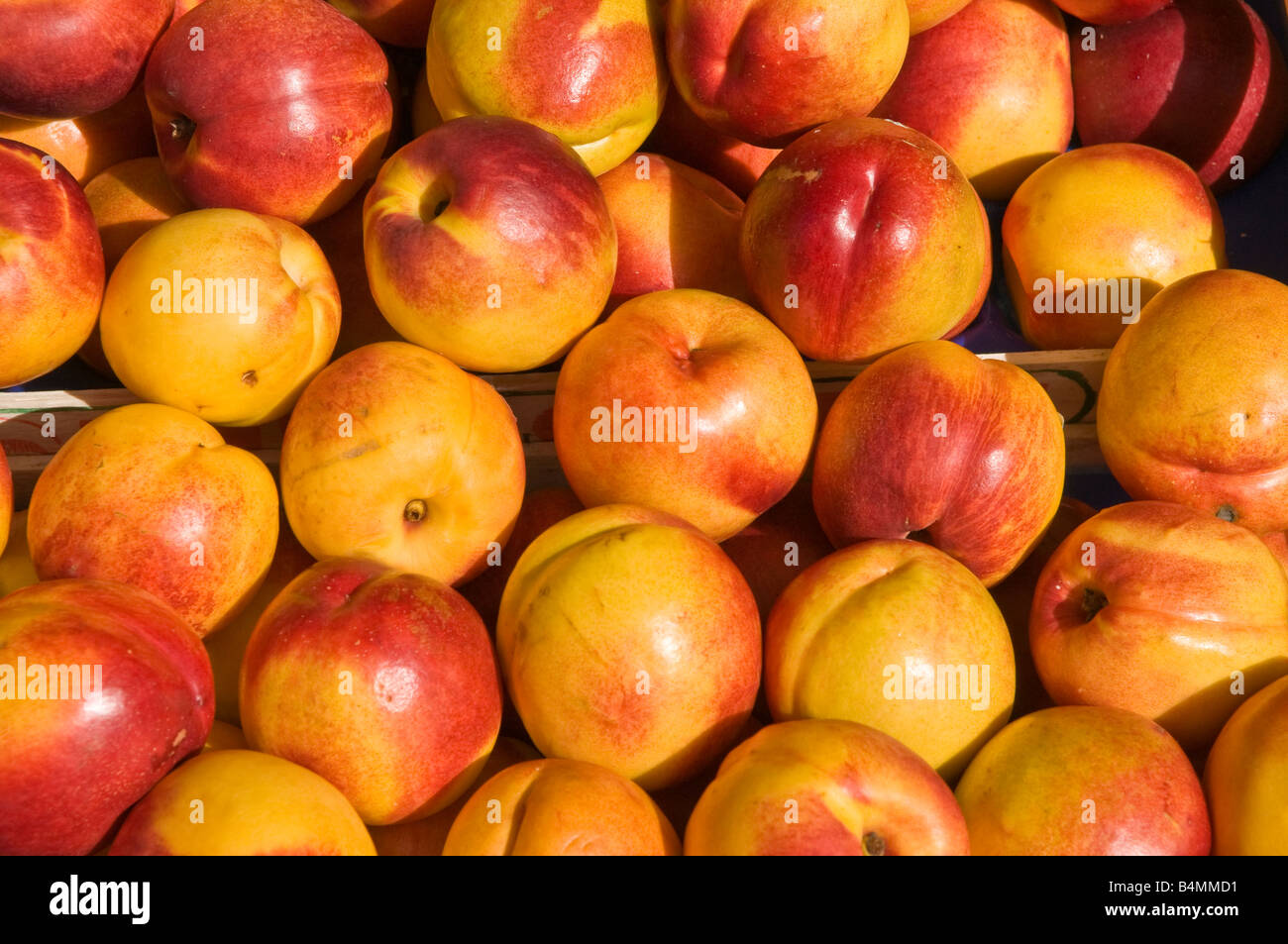 Box of ripe peaches Stock Photo - Alamy