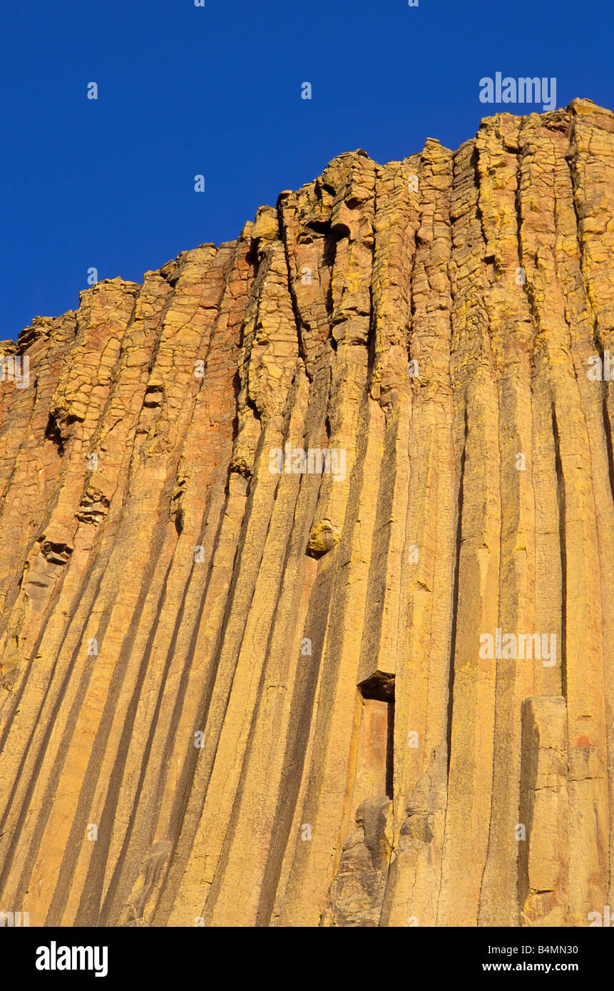 Evening light on column detail columnar basalt on the west face of ...