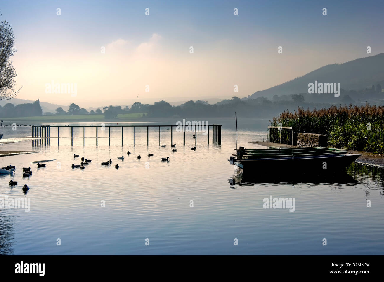 Llangorse llyn lake hi-res stock photography and images - Alamy