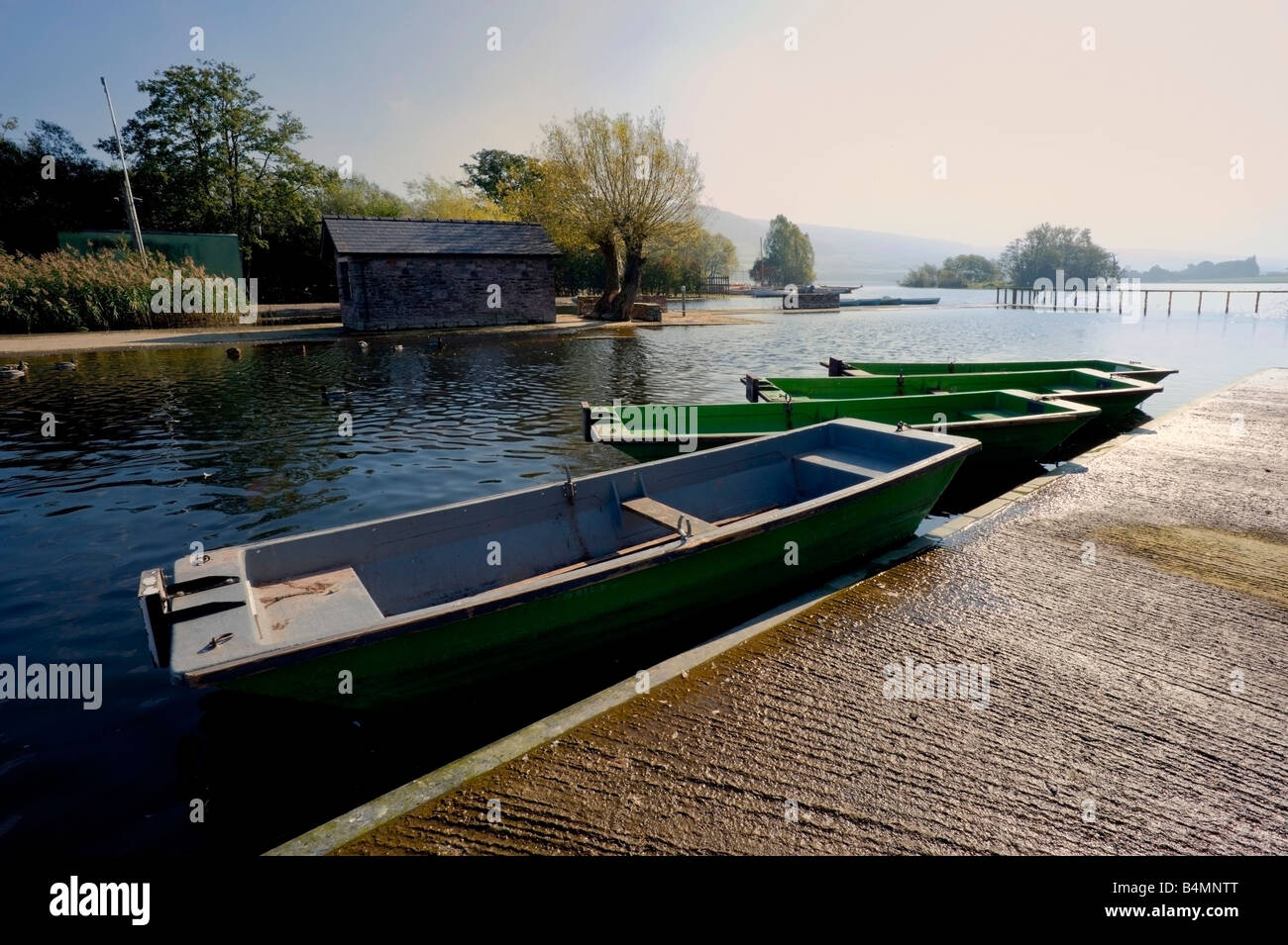 Llangorse llyn lake hi-res stock photography and images - Alamy