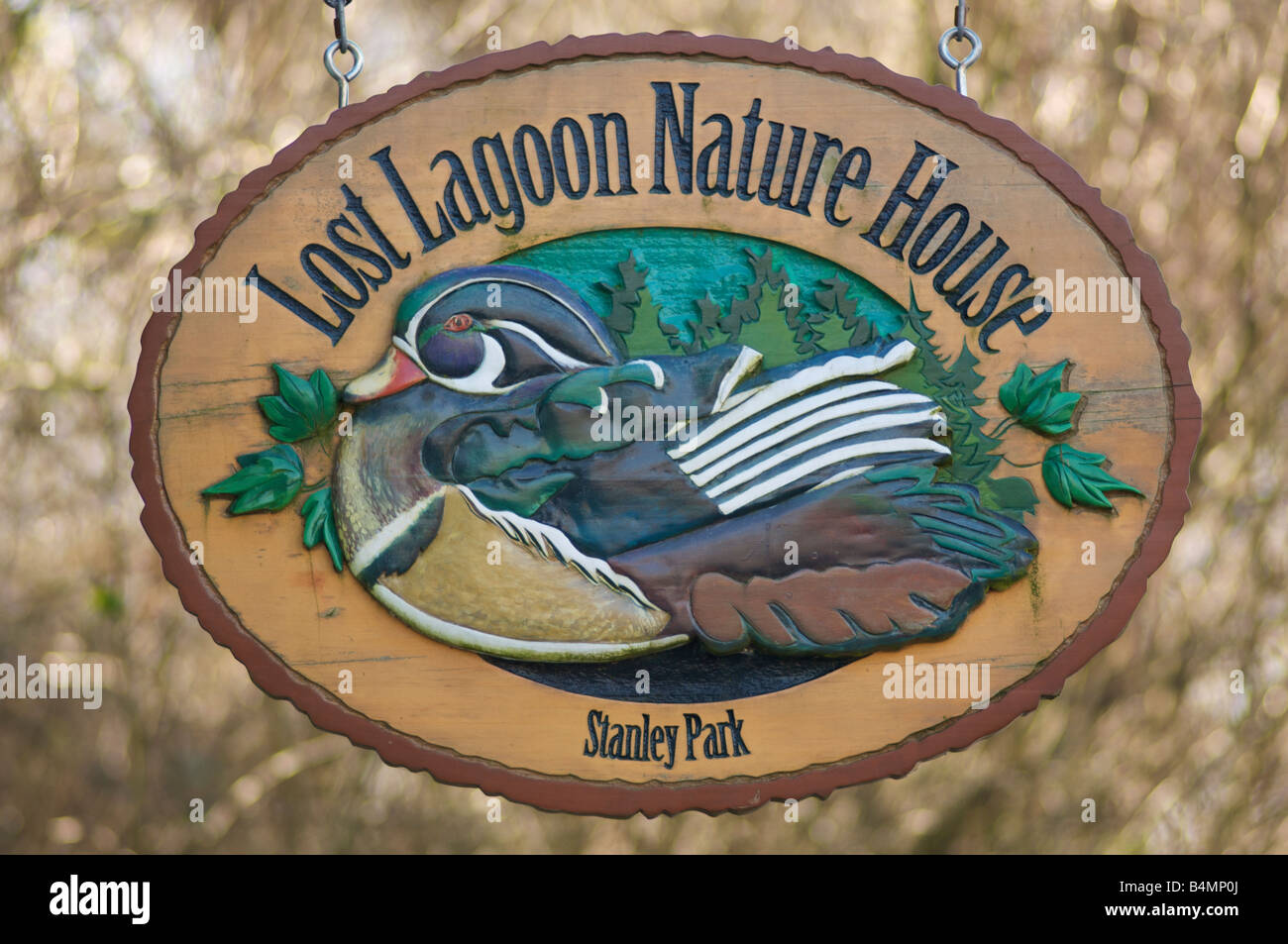 wooden sign representing a duck in Vancouver Lost Lagoon Stanley Park ...