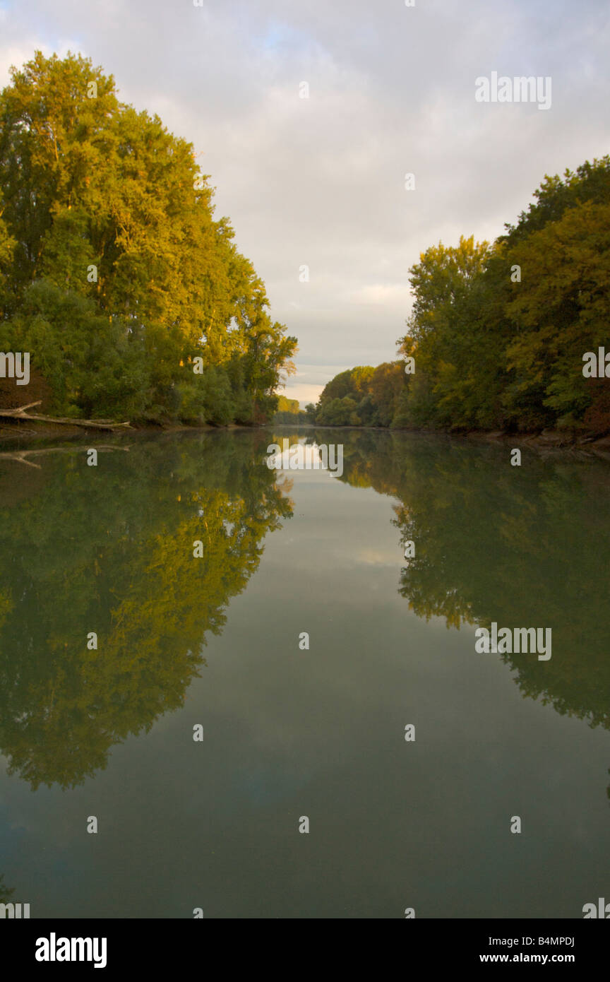 Trees on the river, Germany Stock Photo - Alamy