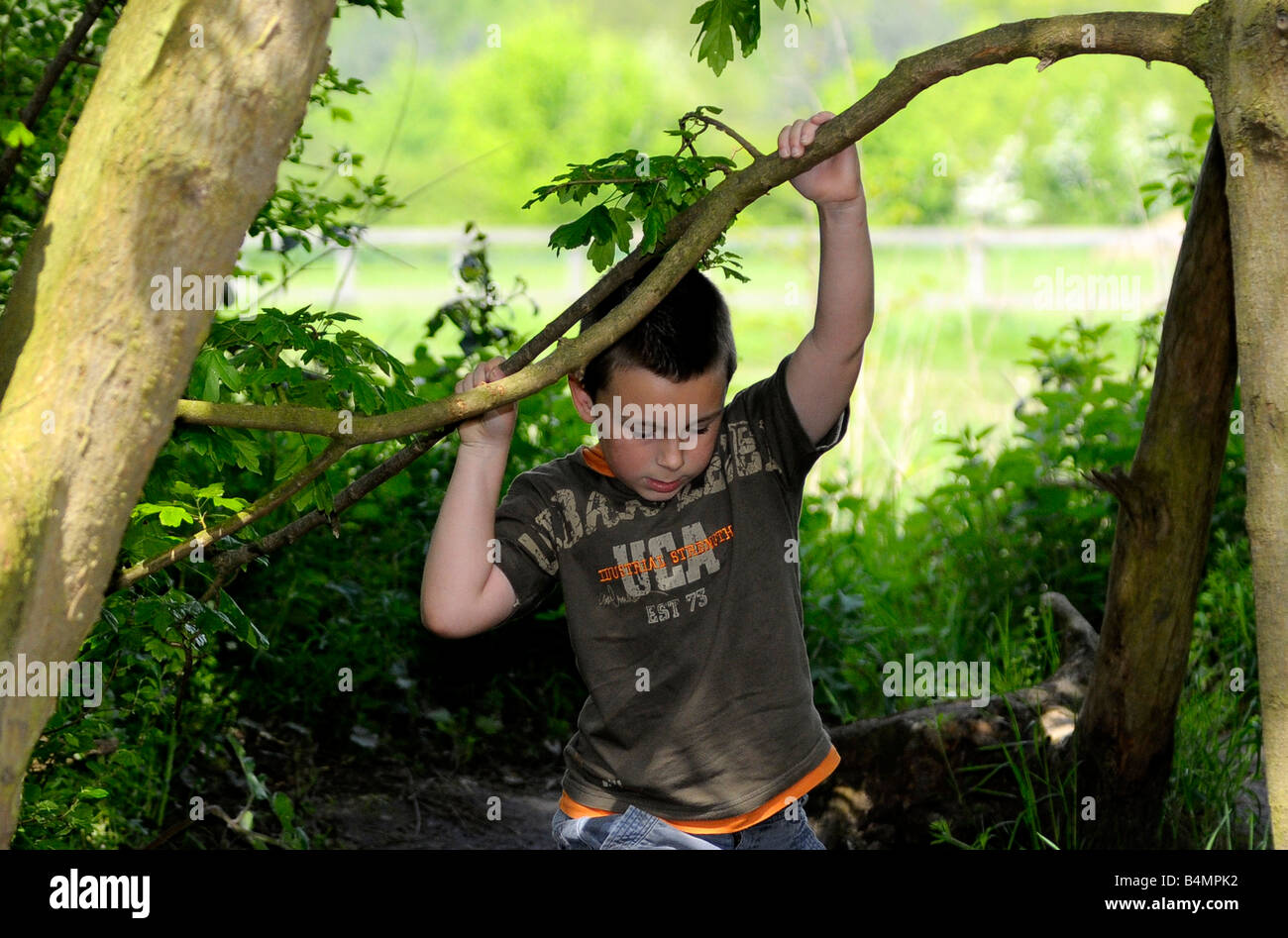 A boy holding onto a branch Stock Photo - Alamy