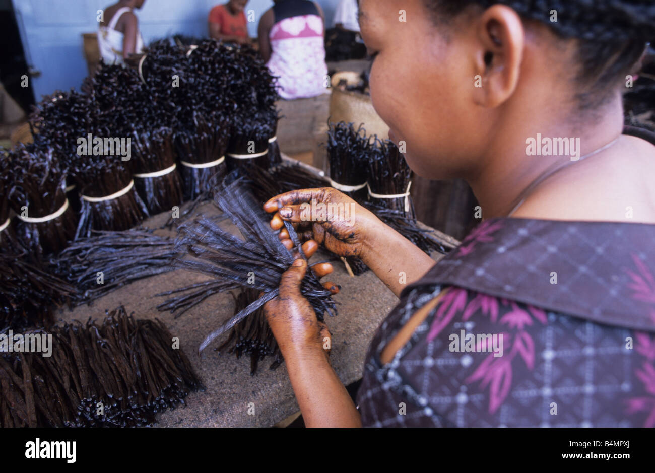 Vanilla factory hi-res stock photography and images - Alamy