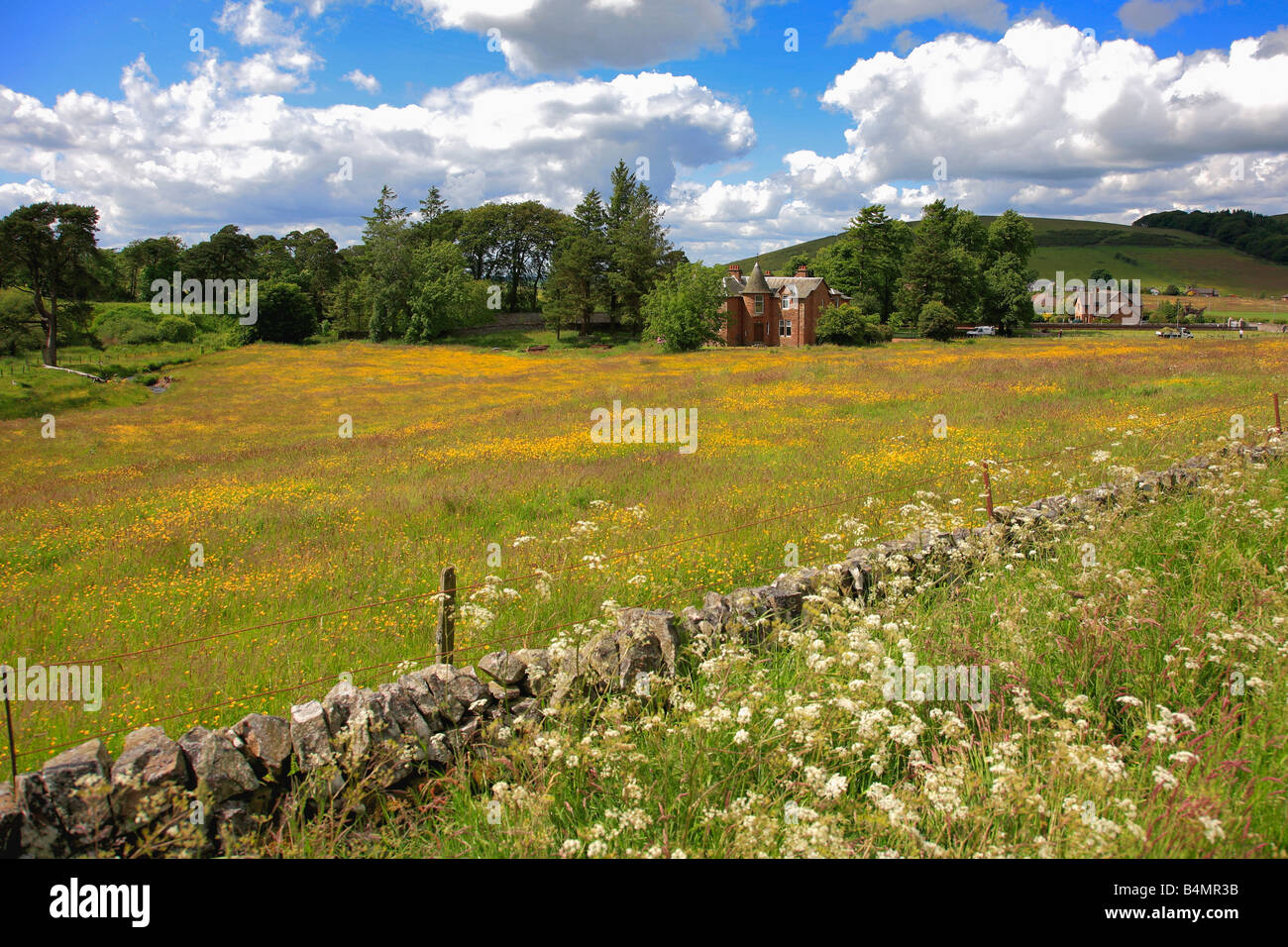 Farm with Flower Meadow Thankerton Upper Tweeddale Scotland Britain UK ...