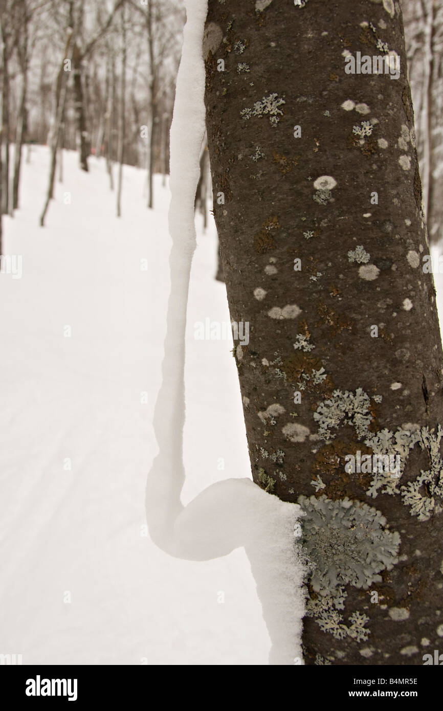 Michigan upper peninsula snow hi-res stock photography and images - Alamy