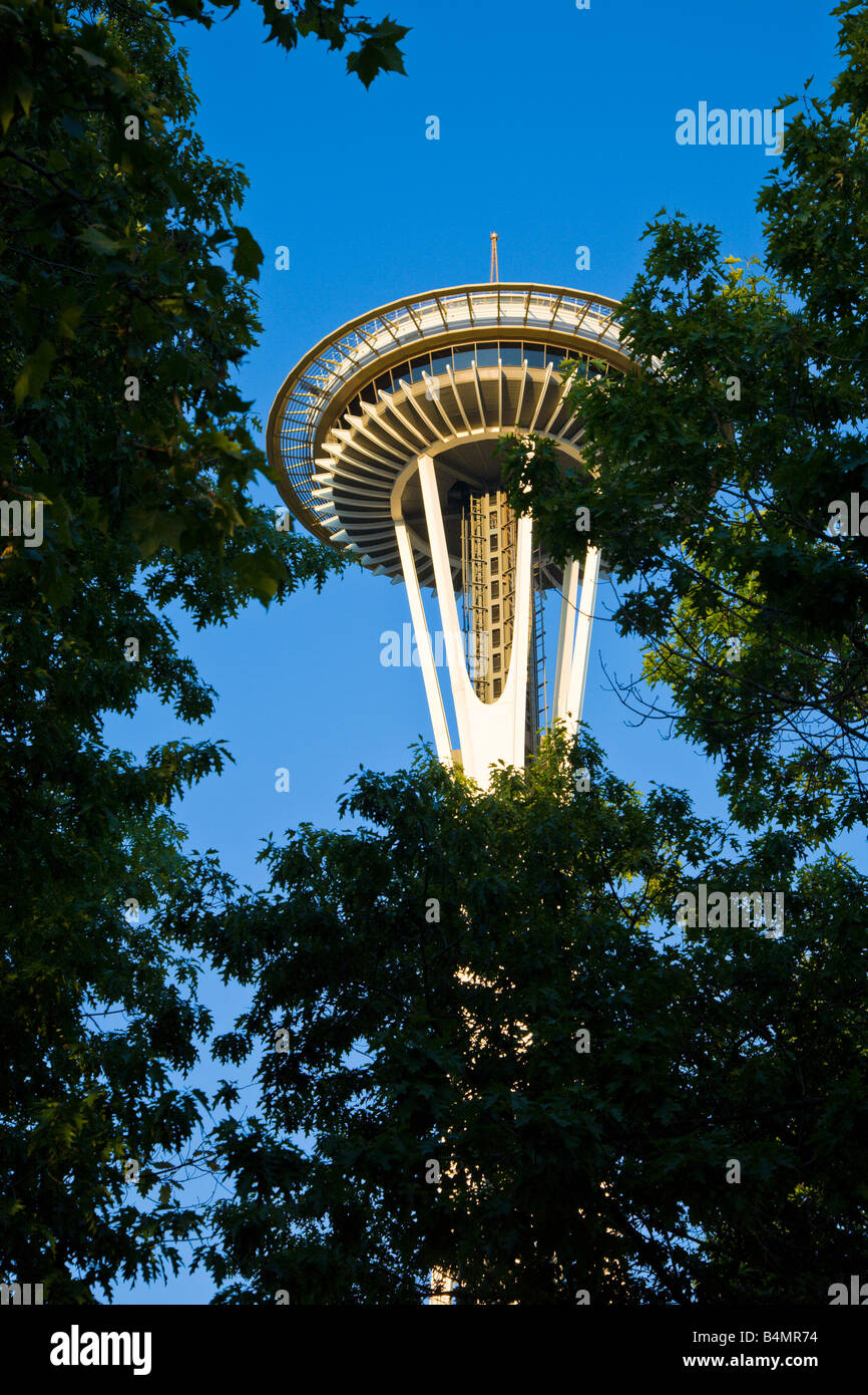 Seattle Space Needle seen through trees Stock Photo - Alamy